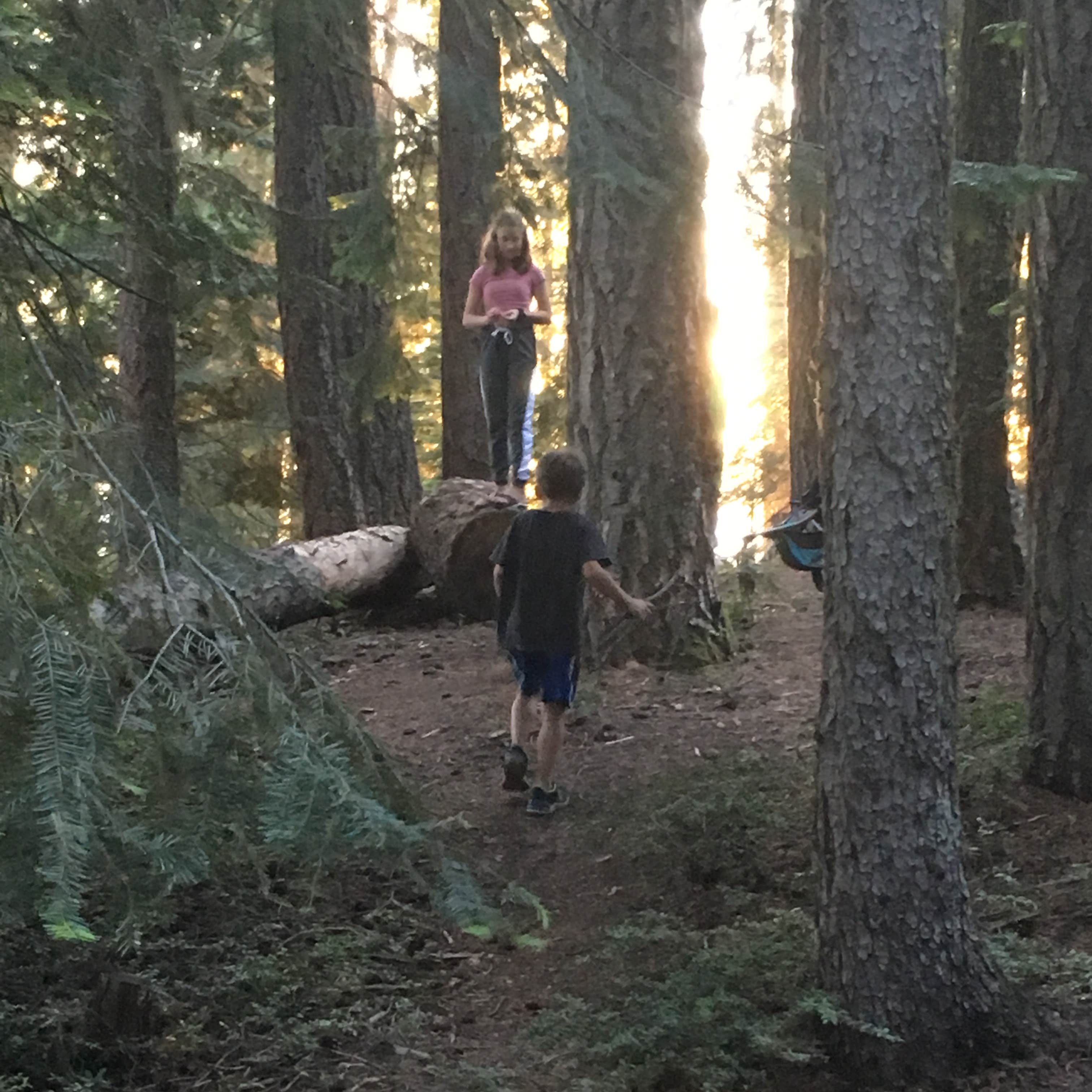 Sunset Cove Campground Camping | The Dyrt