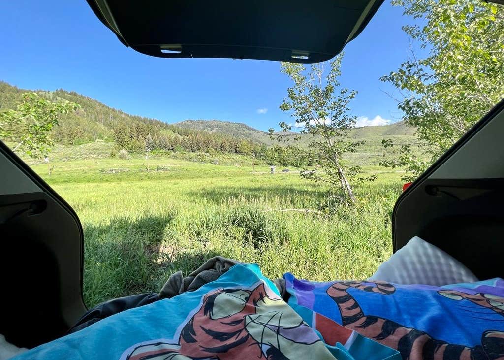 Meadows RV Park Camping | The Dyrt