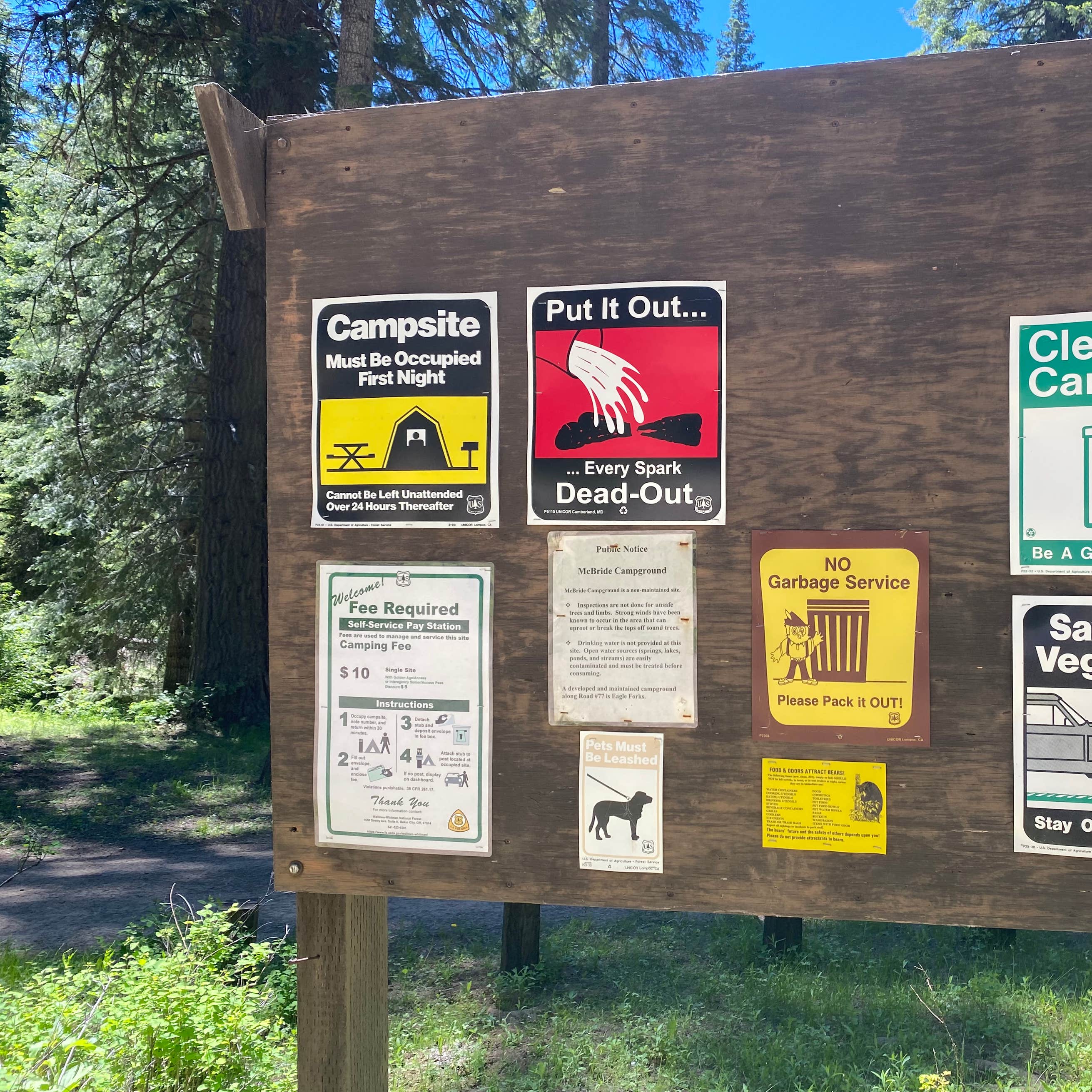 McBride Campground Camping | The Dyrt