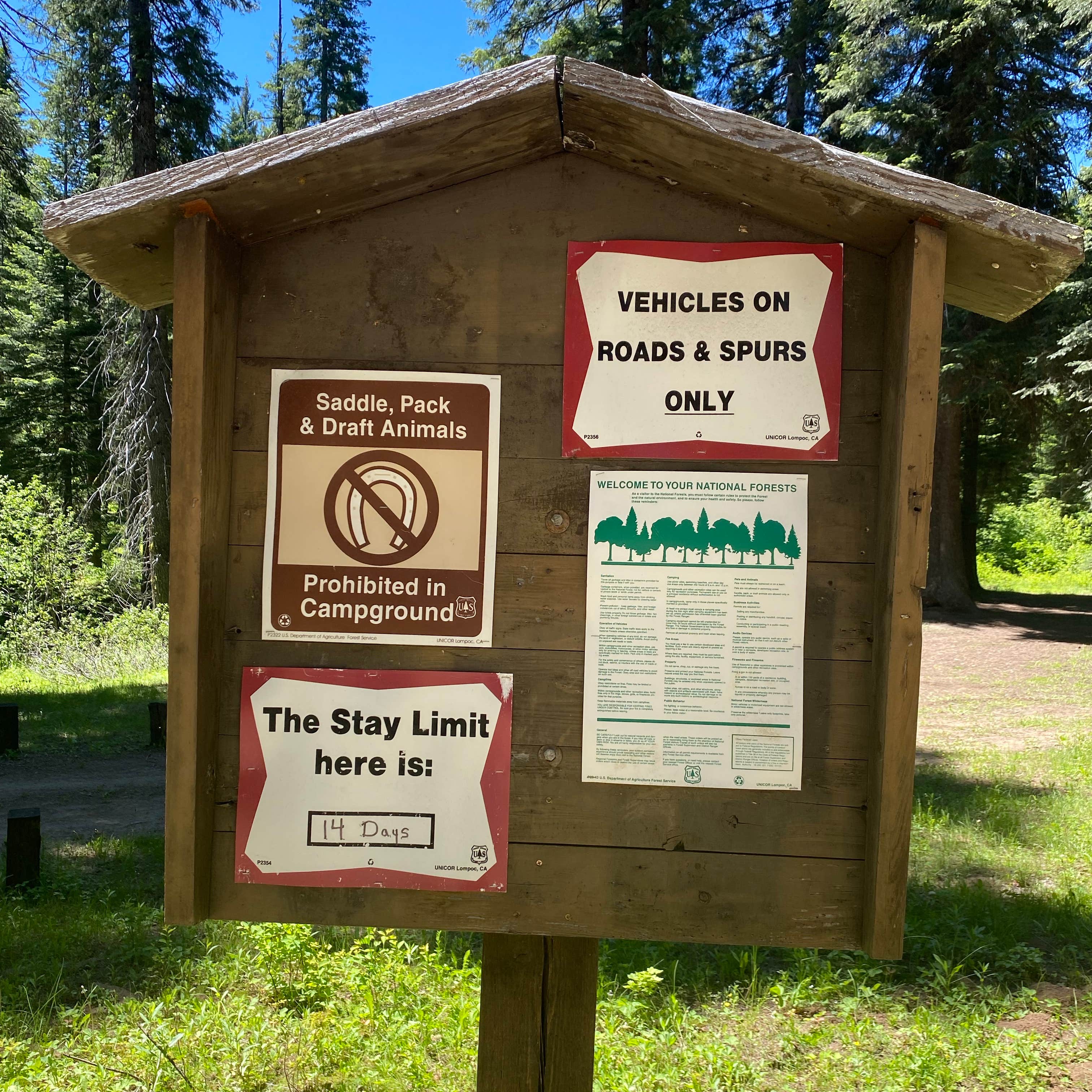 McBride Campground Camping | The Dyrt