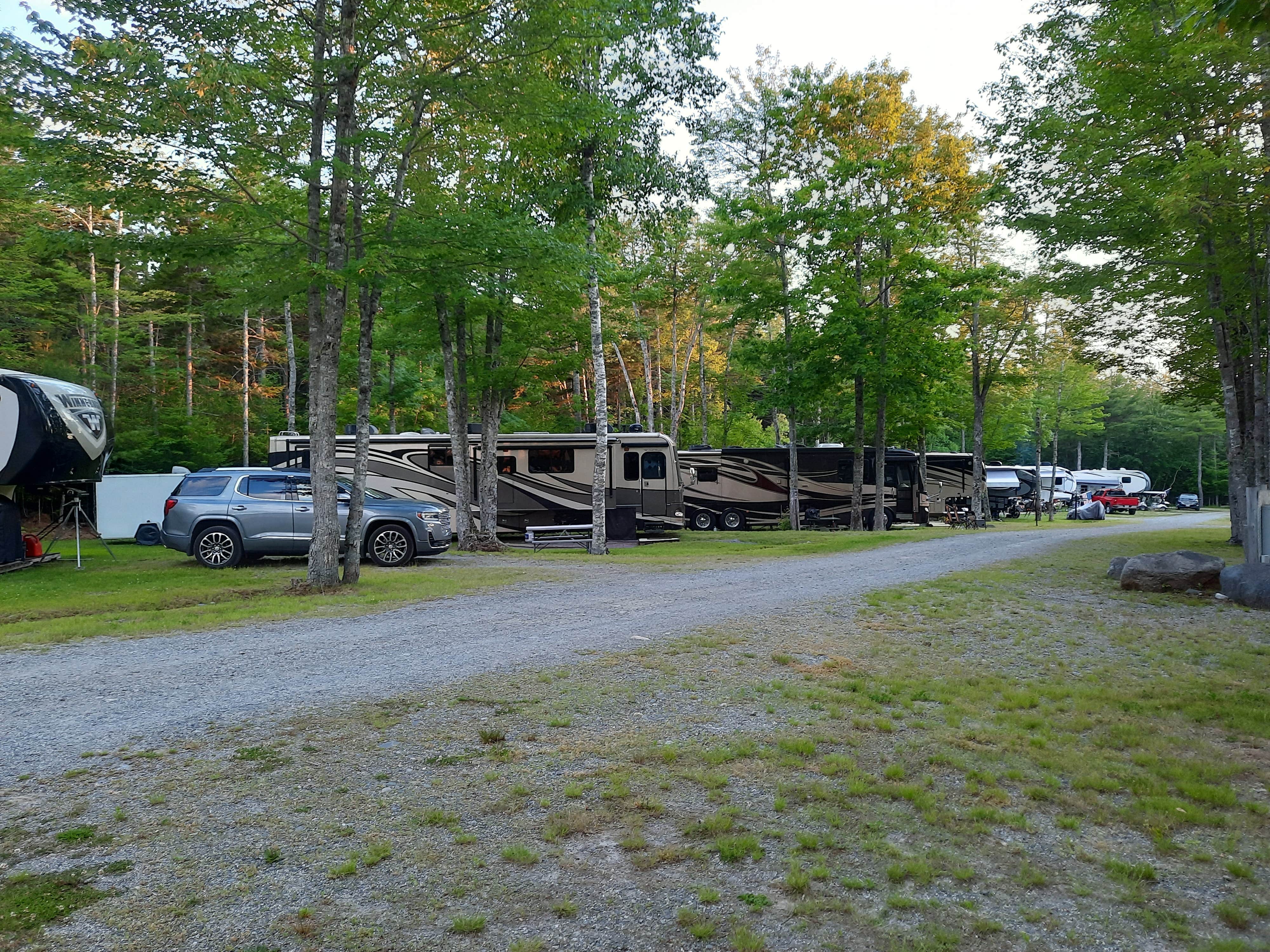 Forest Ridge Campground | Ellsworth, Maine