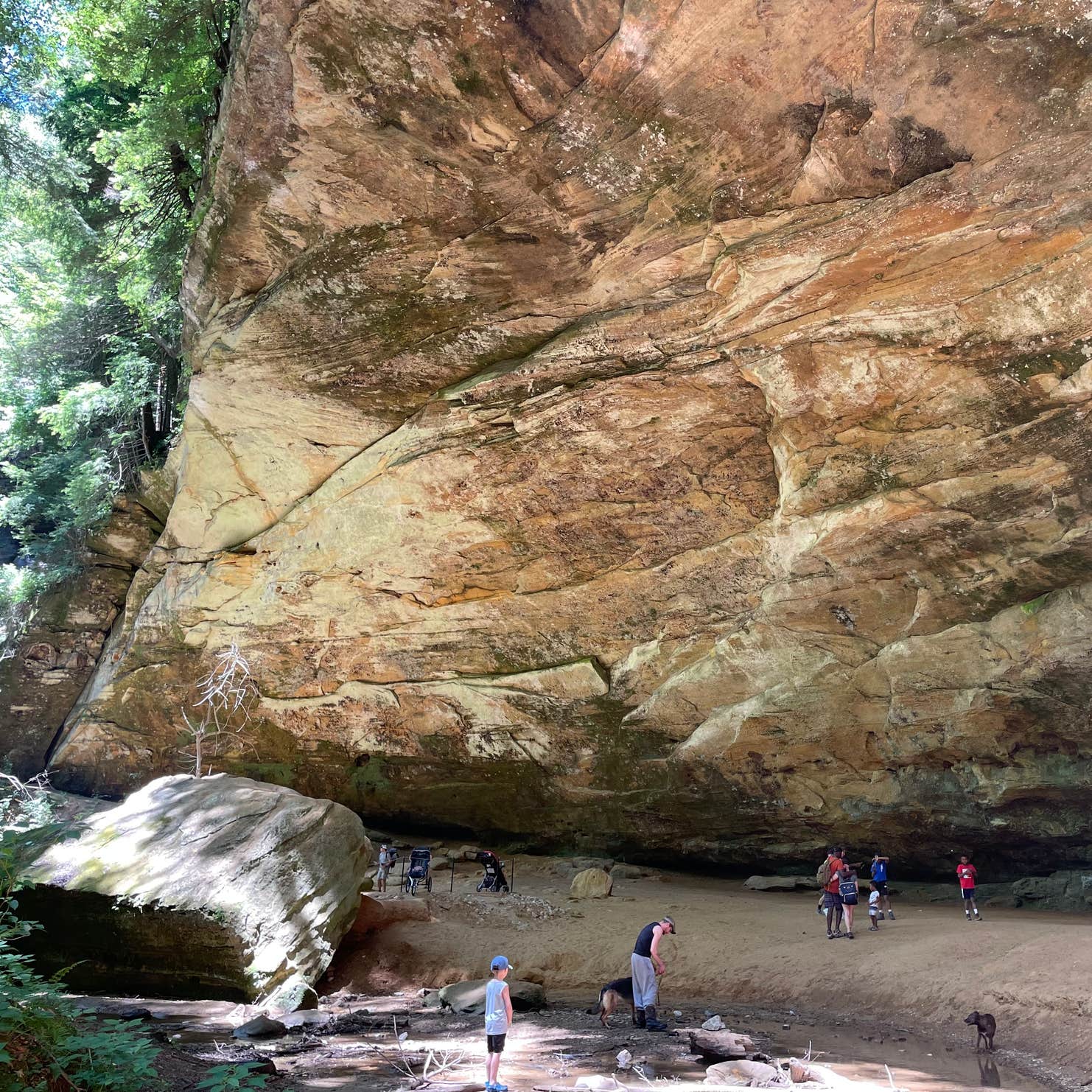 Top O' The Caves Campground Camping | South Bloomingville, OH | The Dyrt