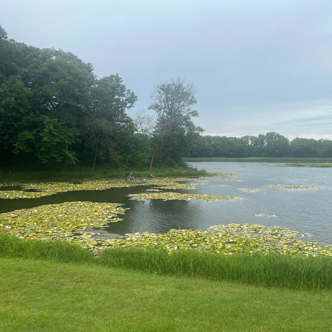 Cold Spring Park Camping | Lewis, Iowa