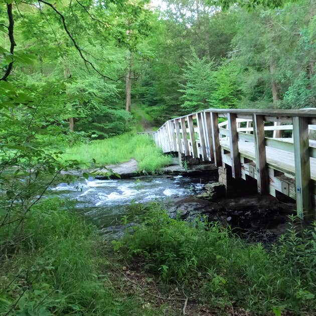 Lower Lake Campground Rhododendron Area — Promised Land State Park ...