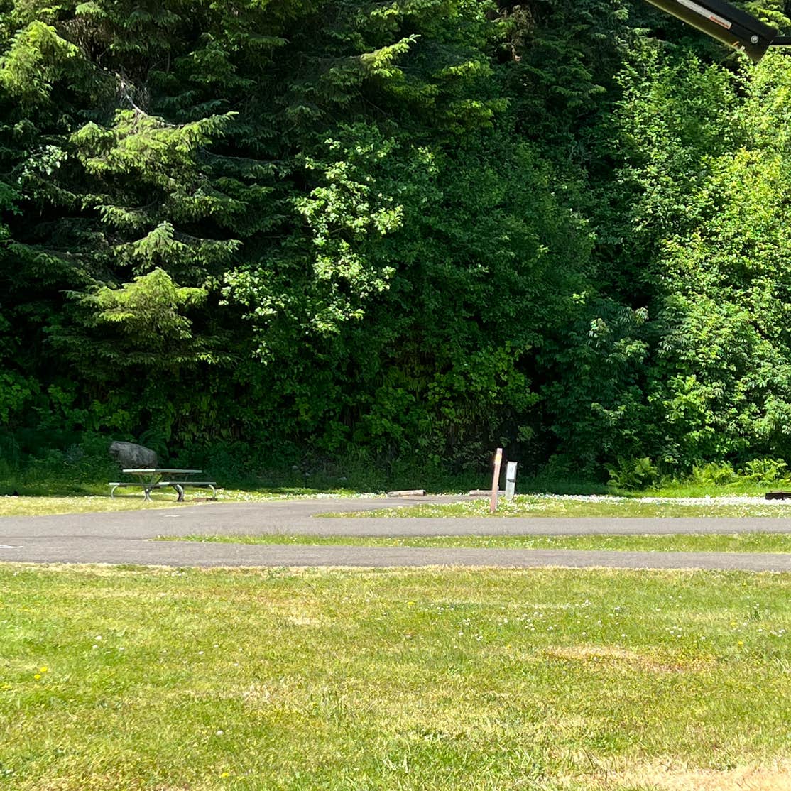 Windy Cove Campground (Section A) | Winchester Bay, OR