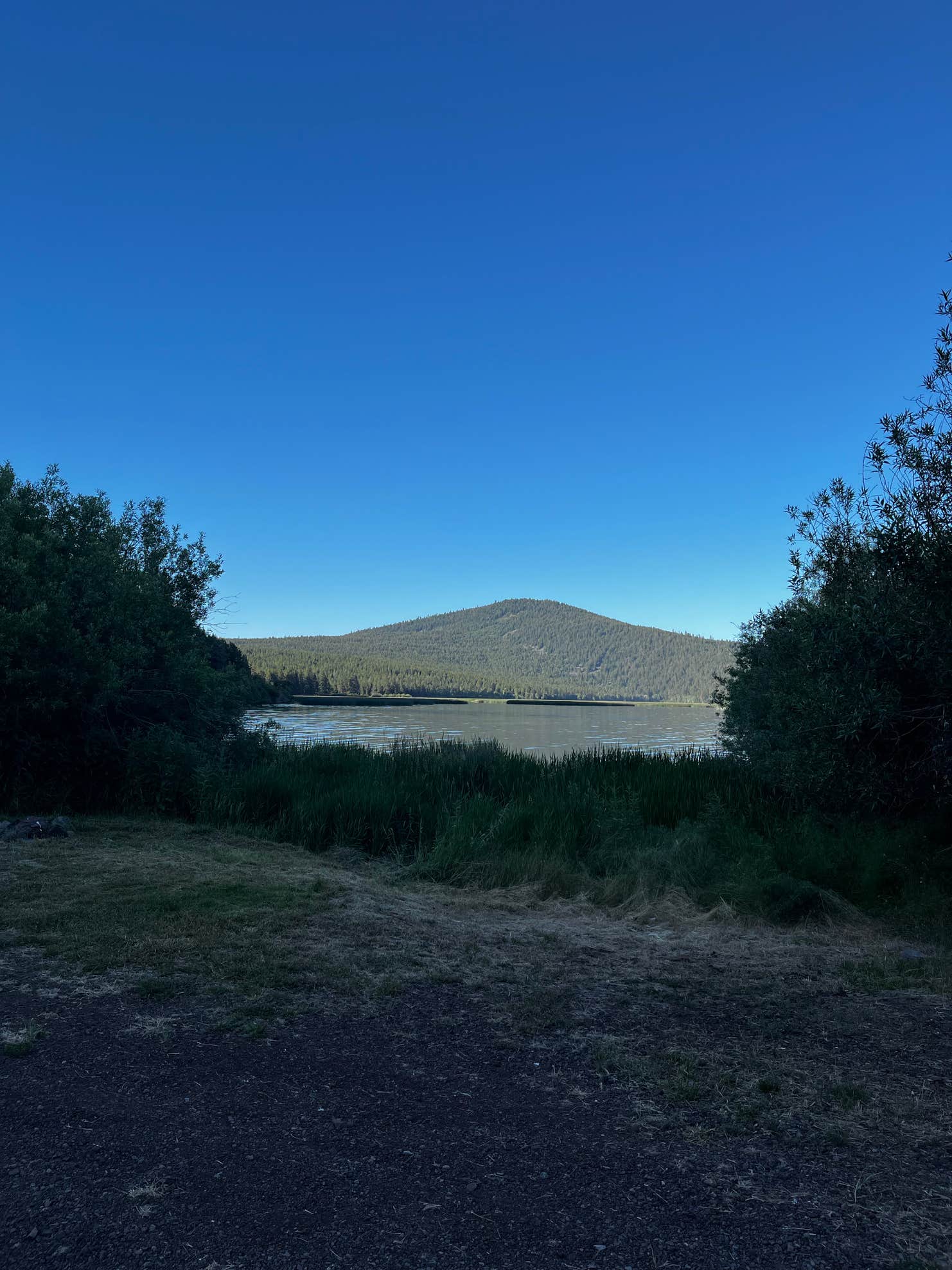 Eagle Ridge Park Camping | The Dyrt