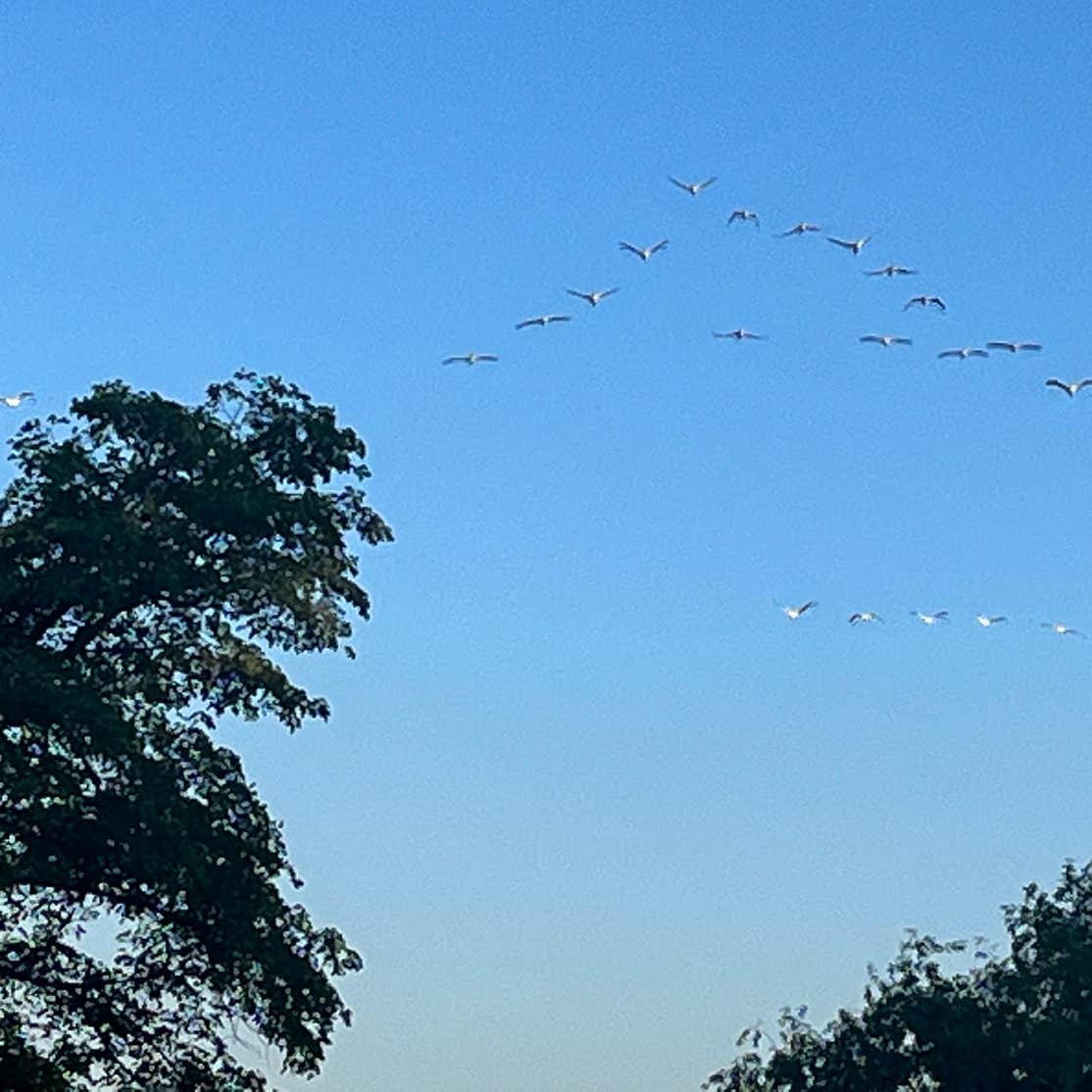 Silver Lake County Park Camping | Delhi, Iowa