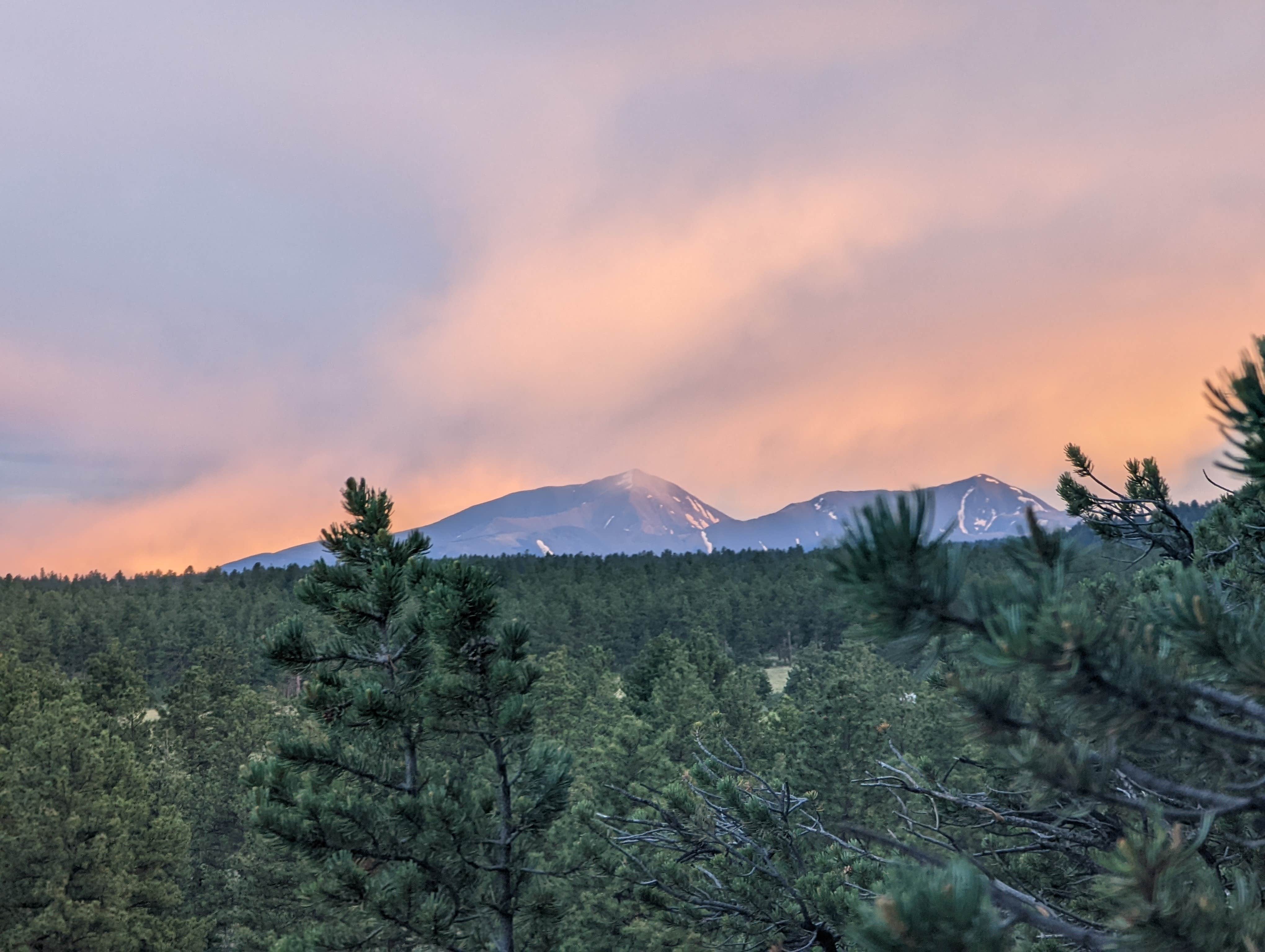 Raspberry Gulch Dispersed Site Camping | Nathrop, Colorado