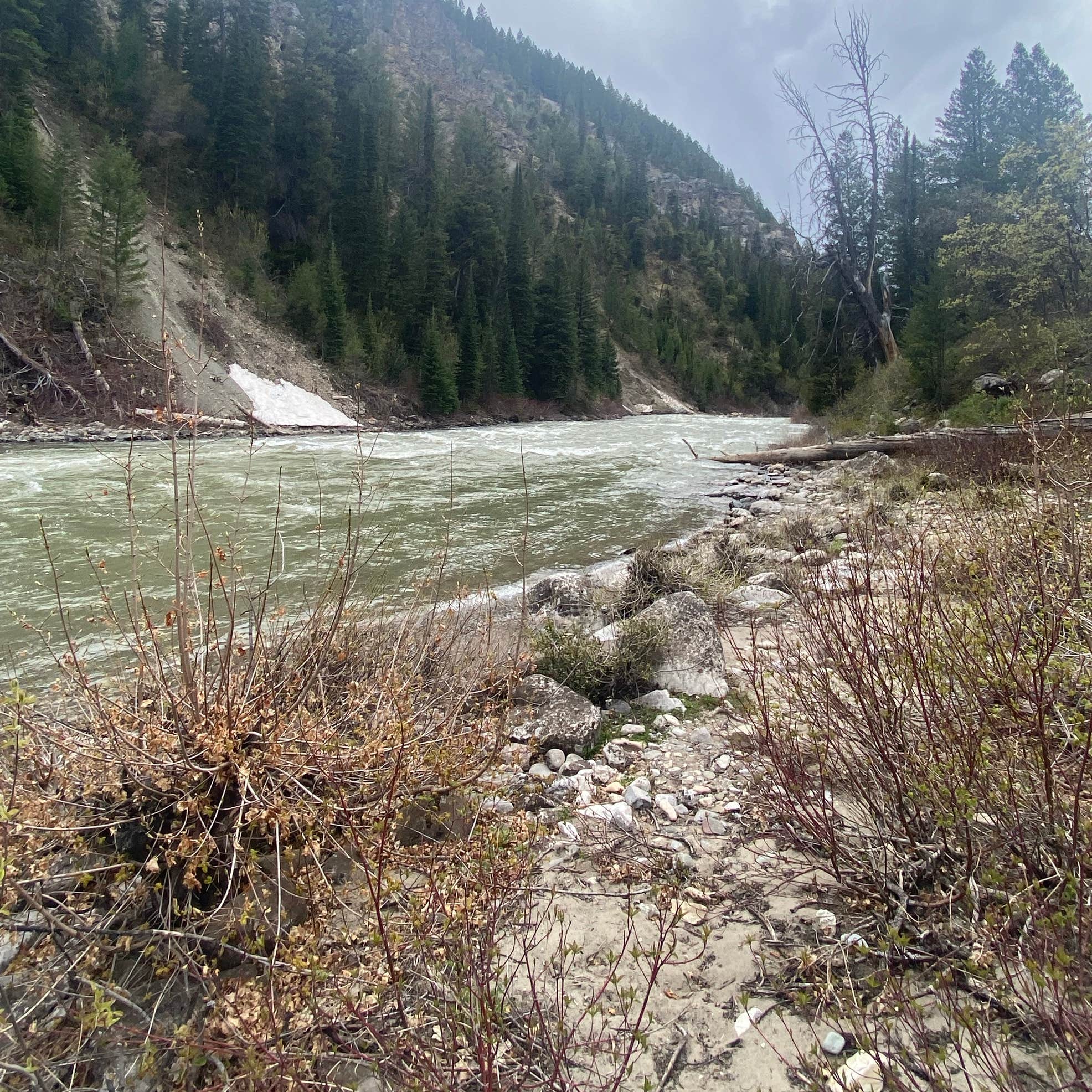 Greys River Corridor Camping | The Dyrt