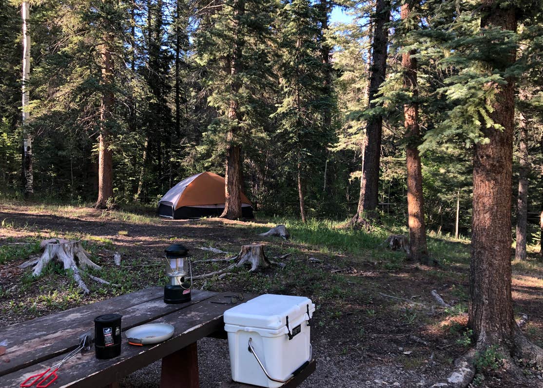 Cimarrona Campground Camping | The Dyrt