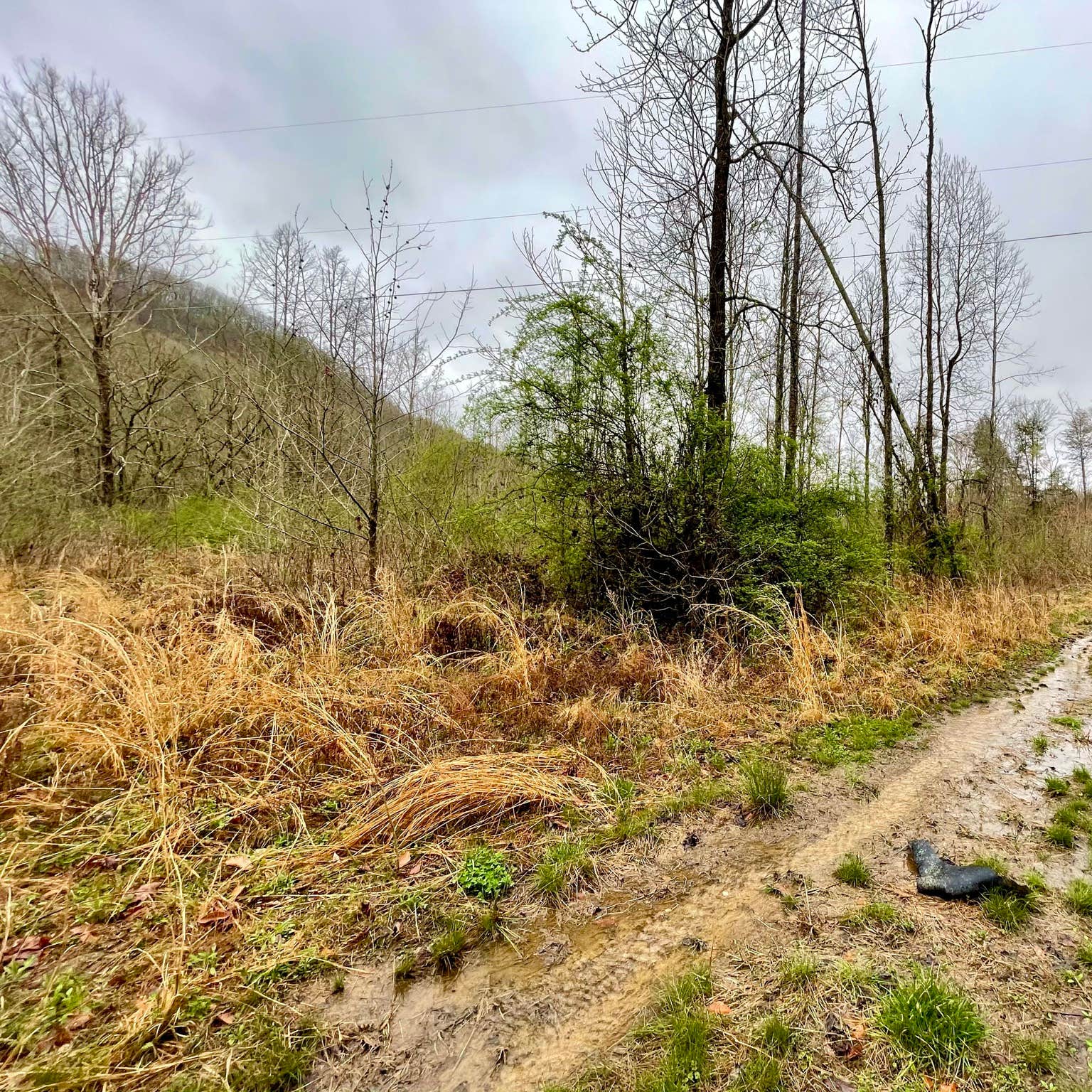 Windrock Ridge Campground Camping | The Dyrt