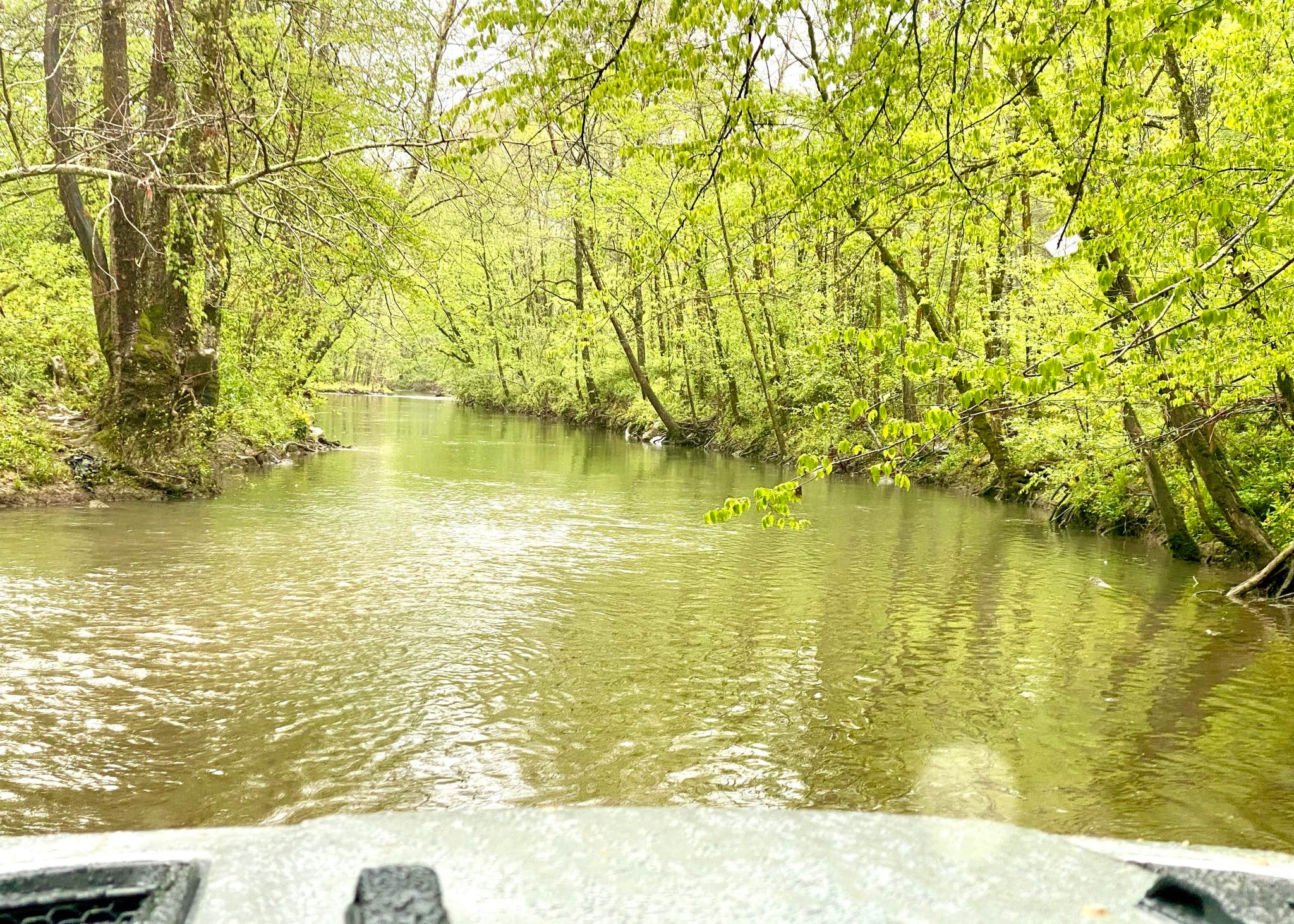 Windrock Ridge Campground Camping | The Dyrt