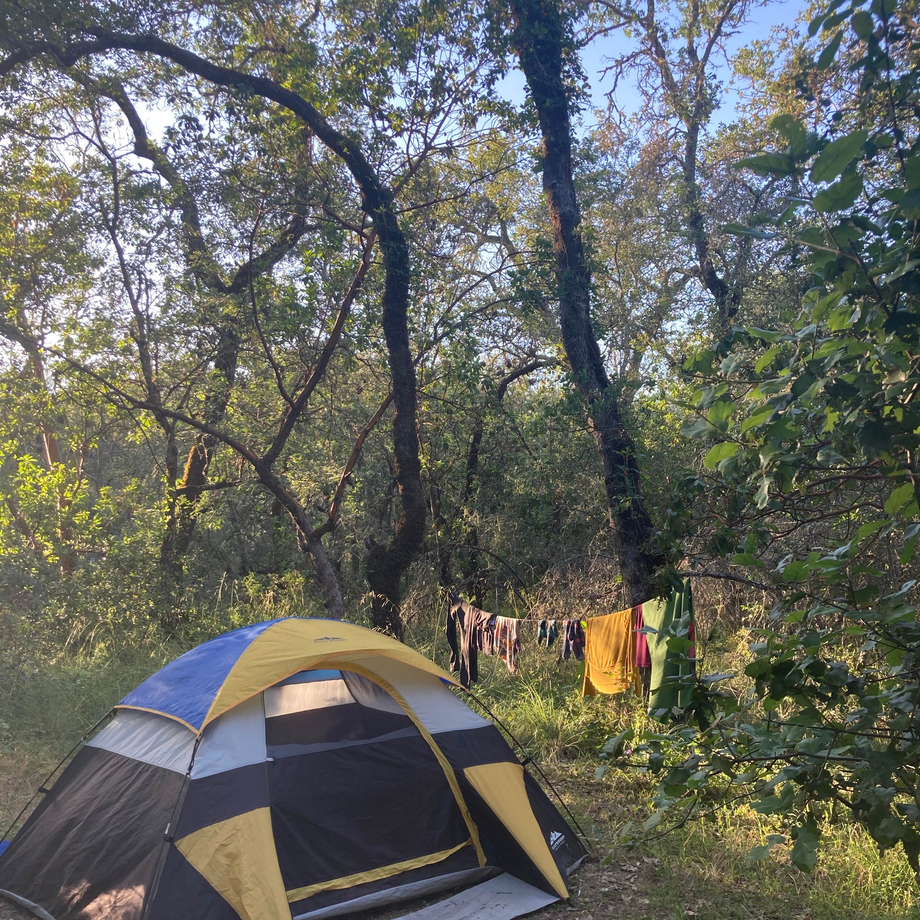 Ritchey Creek Campground — Bothe-Napa Valley State Park | Calistoga, CA