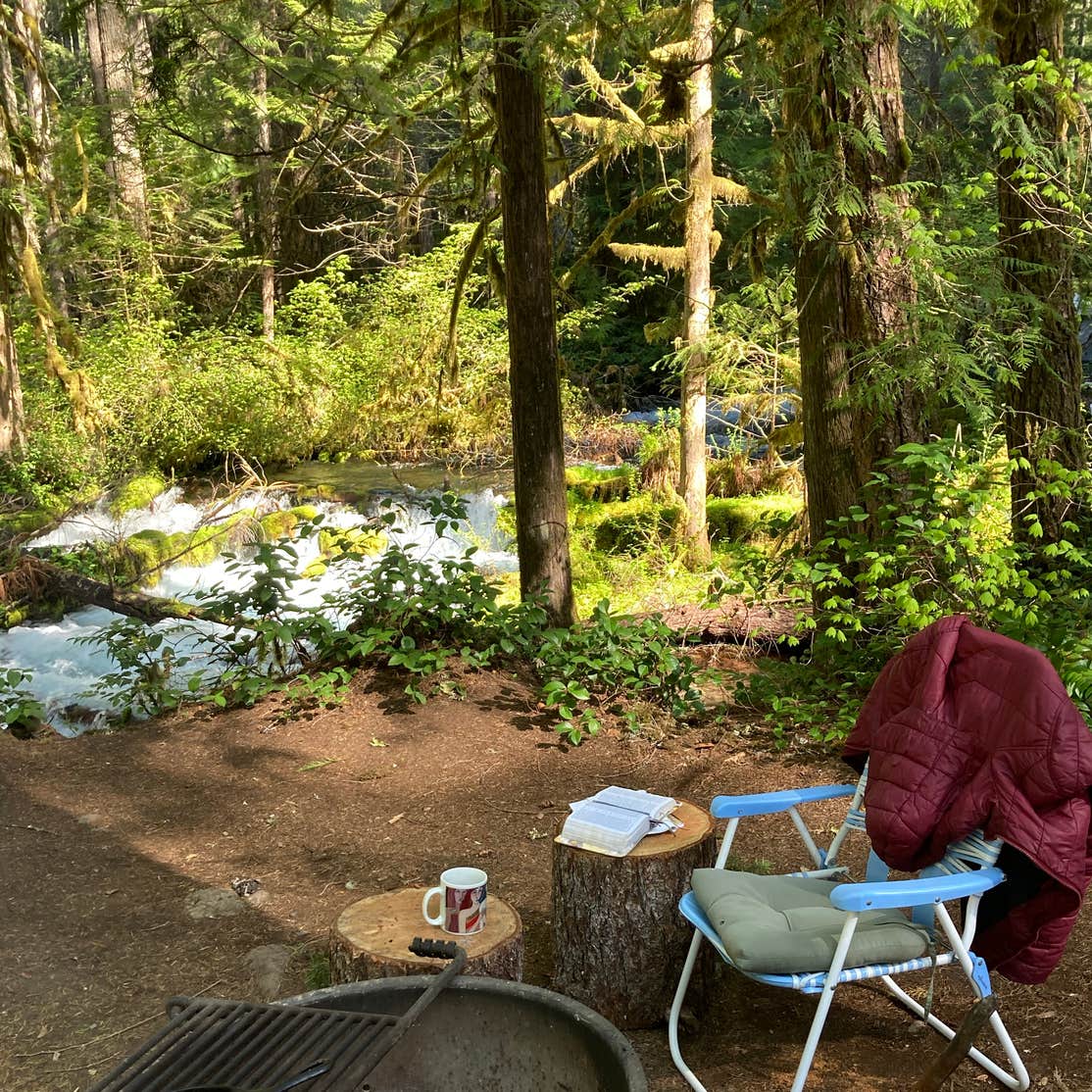 Olallie Campground | Mckenzie Bridge, Oregon