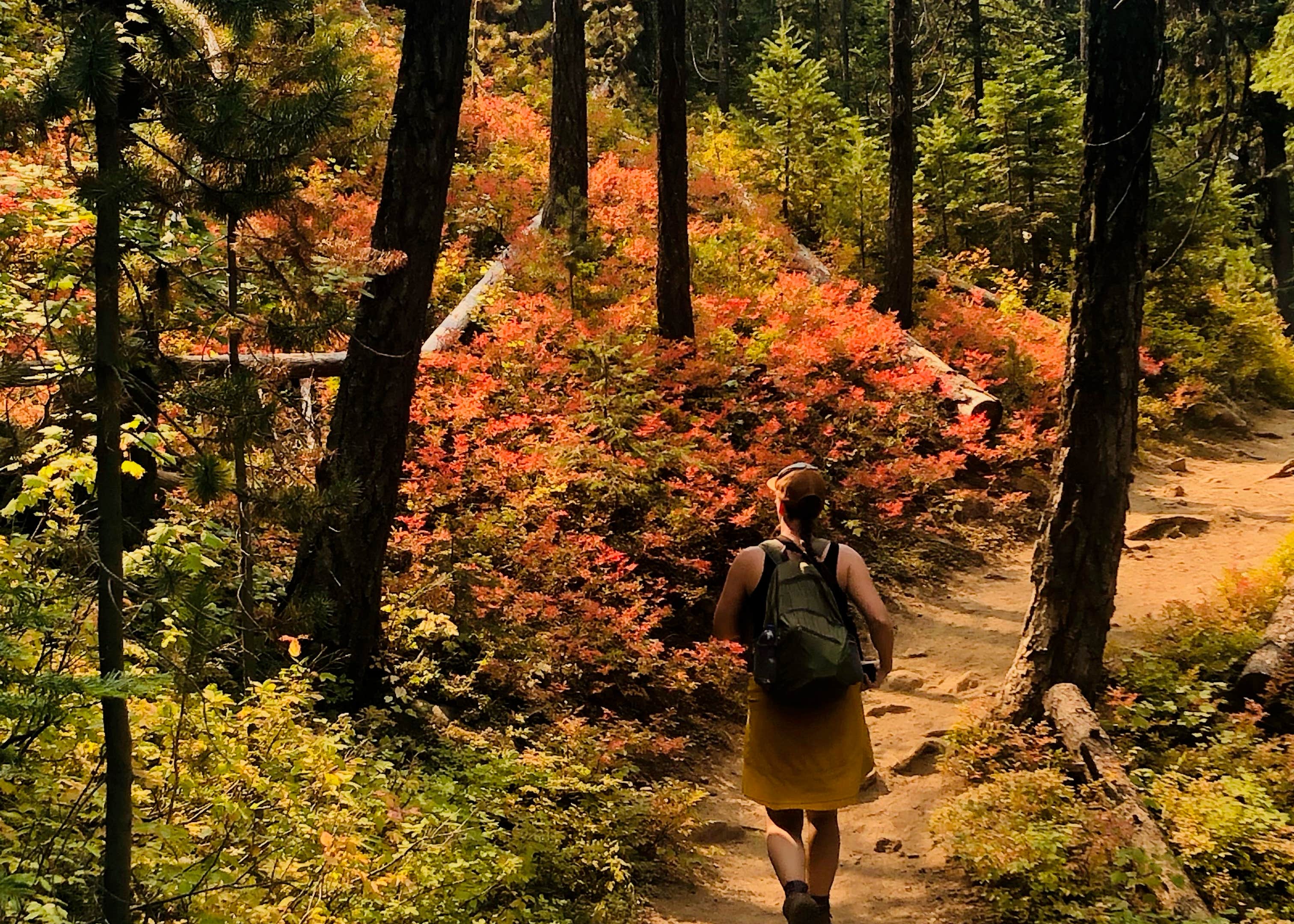 Strawberry Campground Camping | The Dyrt