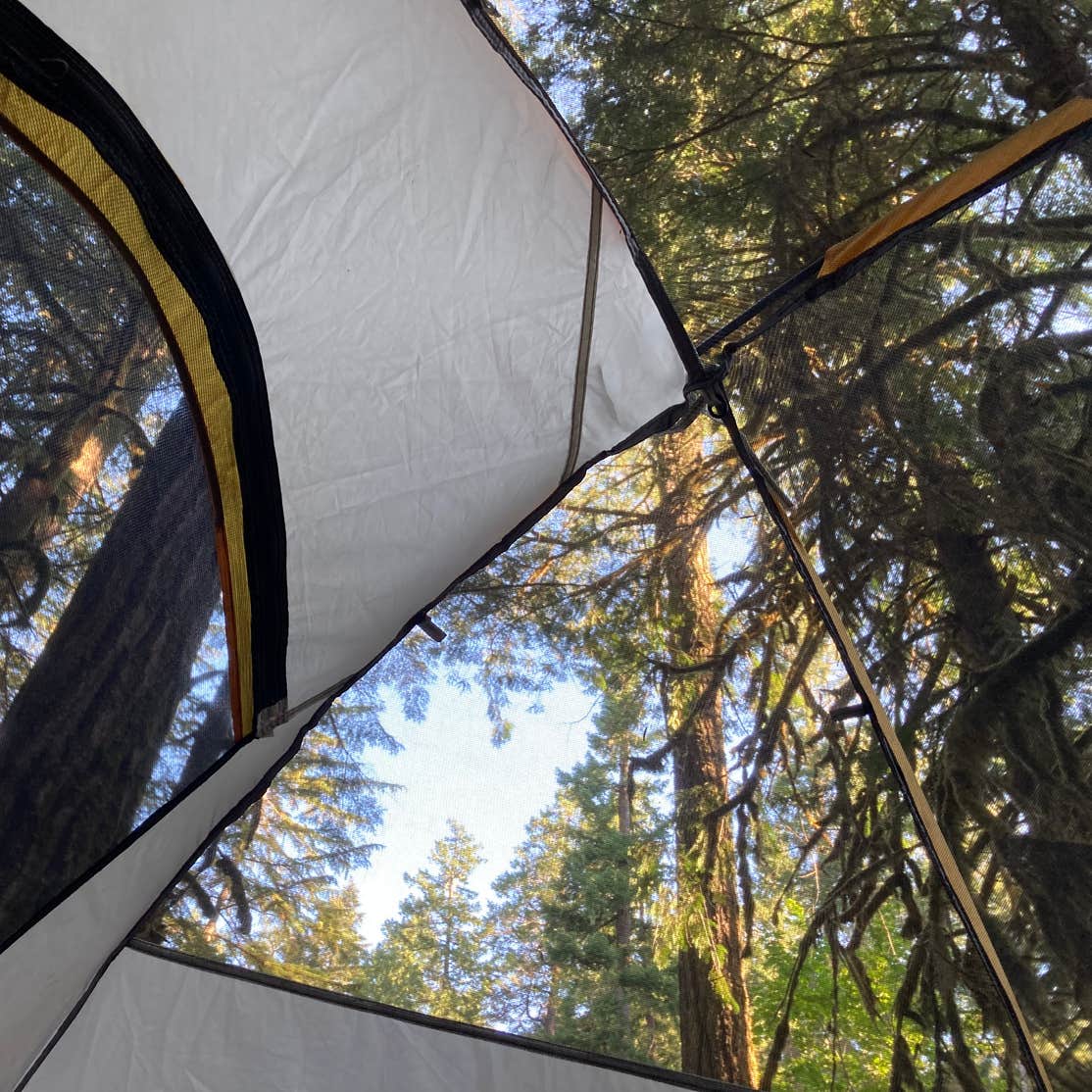Blue Pool — Willamette National Forest Camping | Oakridge, Oregon