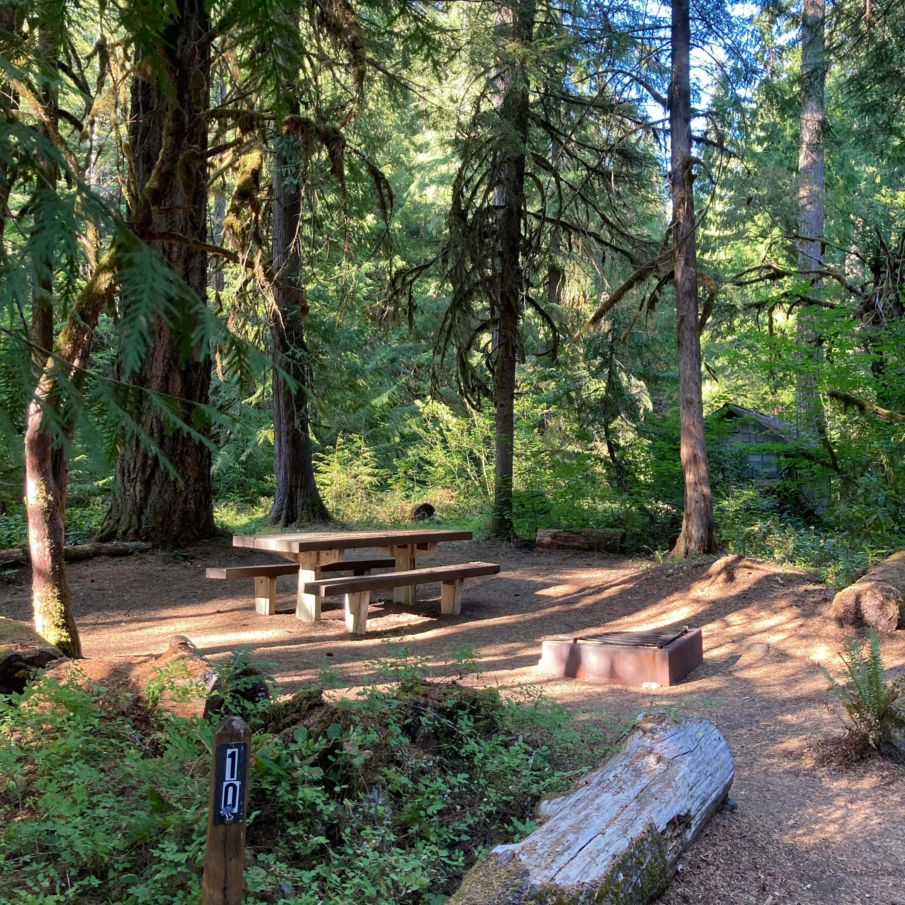 Blue Pool — Willamette National Forest Camping | Oakridge, Oregon
