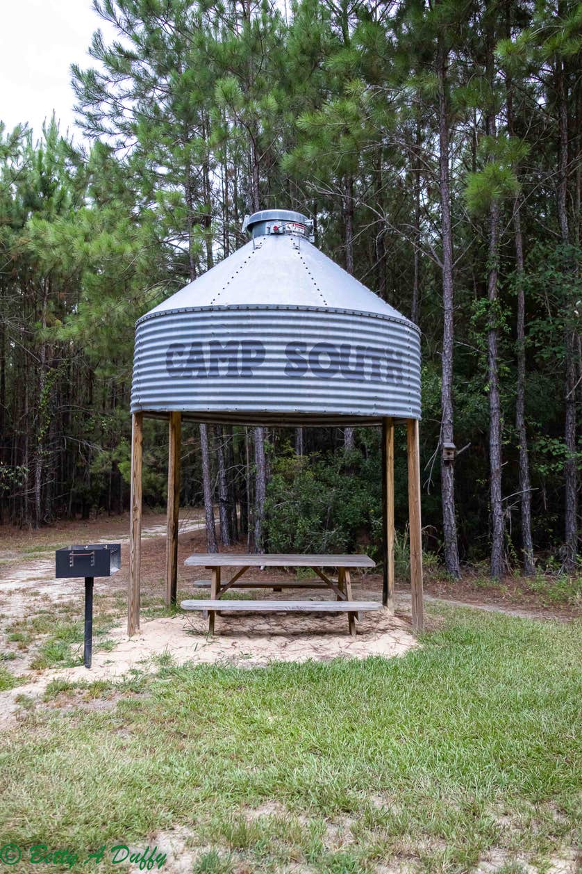 Camp South RV Park Camping | The Dyrt