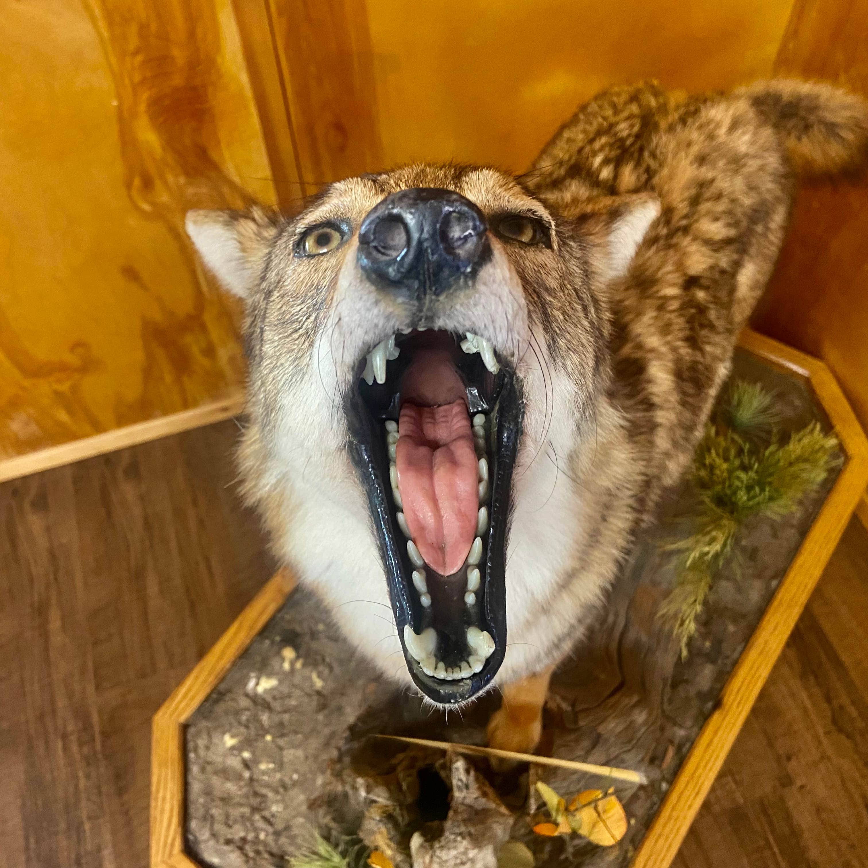 Riverbend Campground | DuPont, Washington