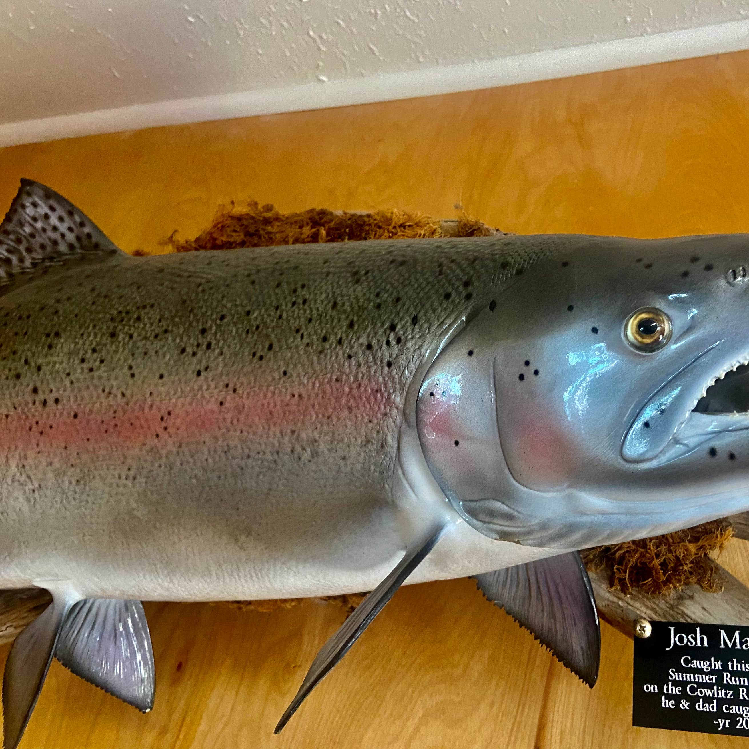 Riverbend Campground | DuPont, Washington