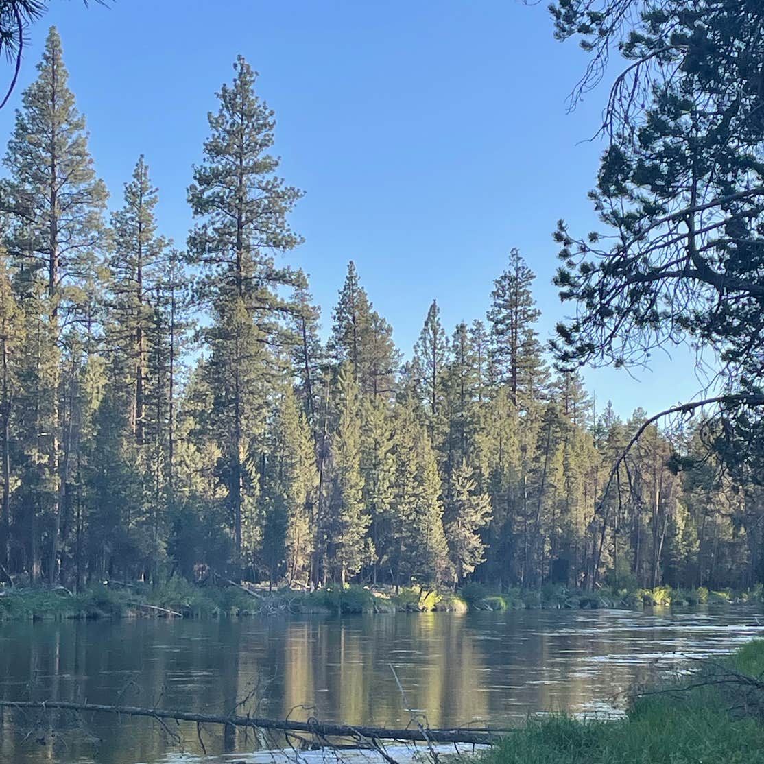 Wyeth Campground at the Deschutes River | La Pine, Oregon