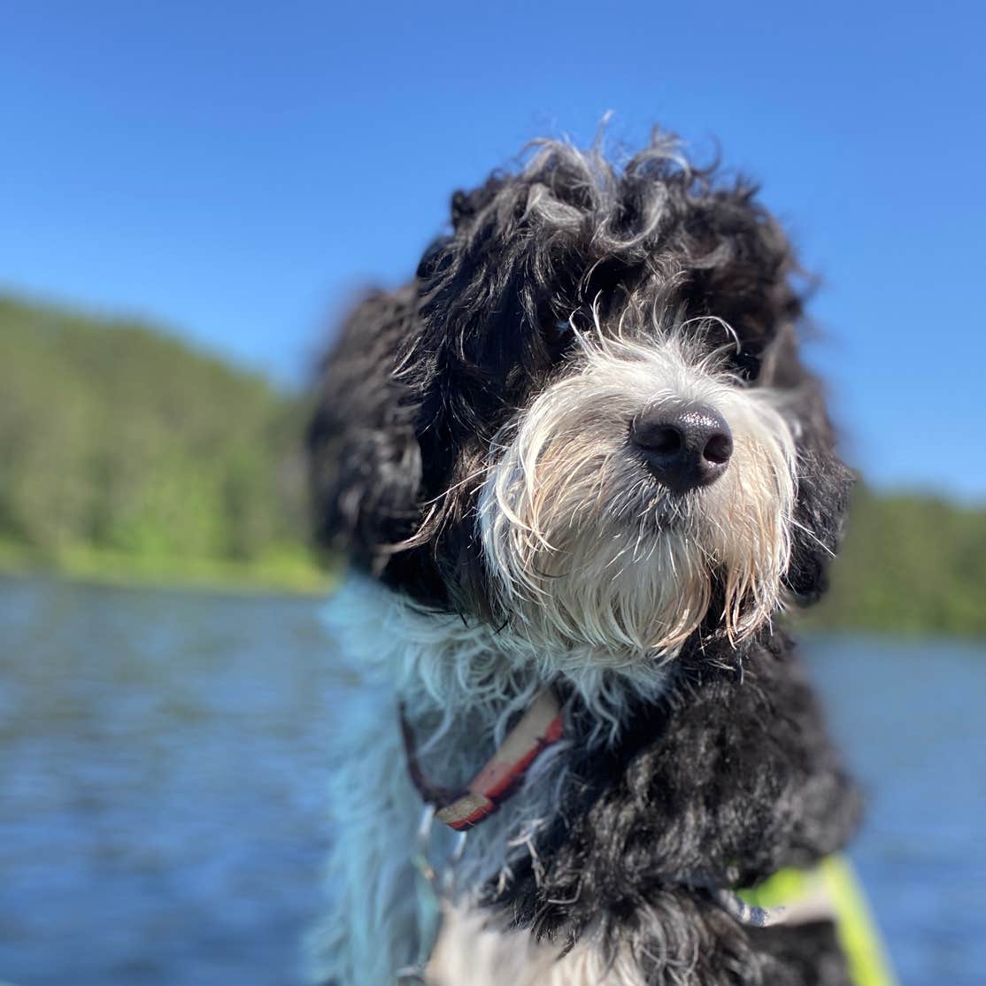 Cunnard Lake — Northern Highland State Forest Camping | Woodruff, WI