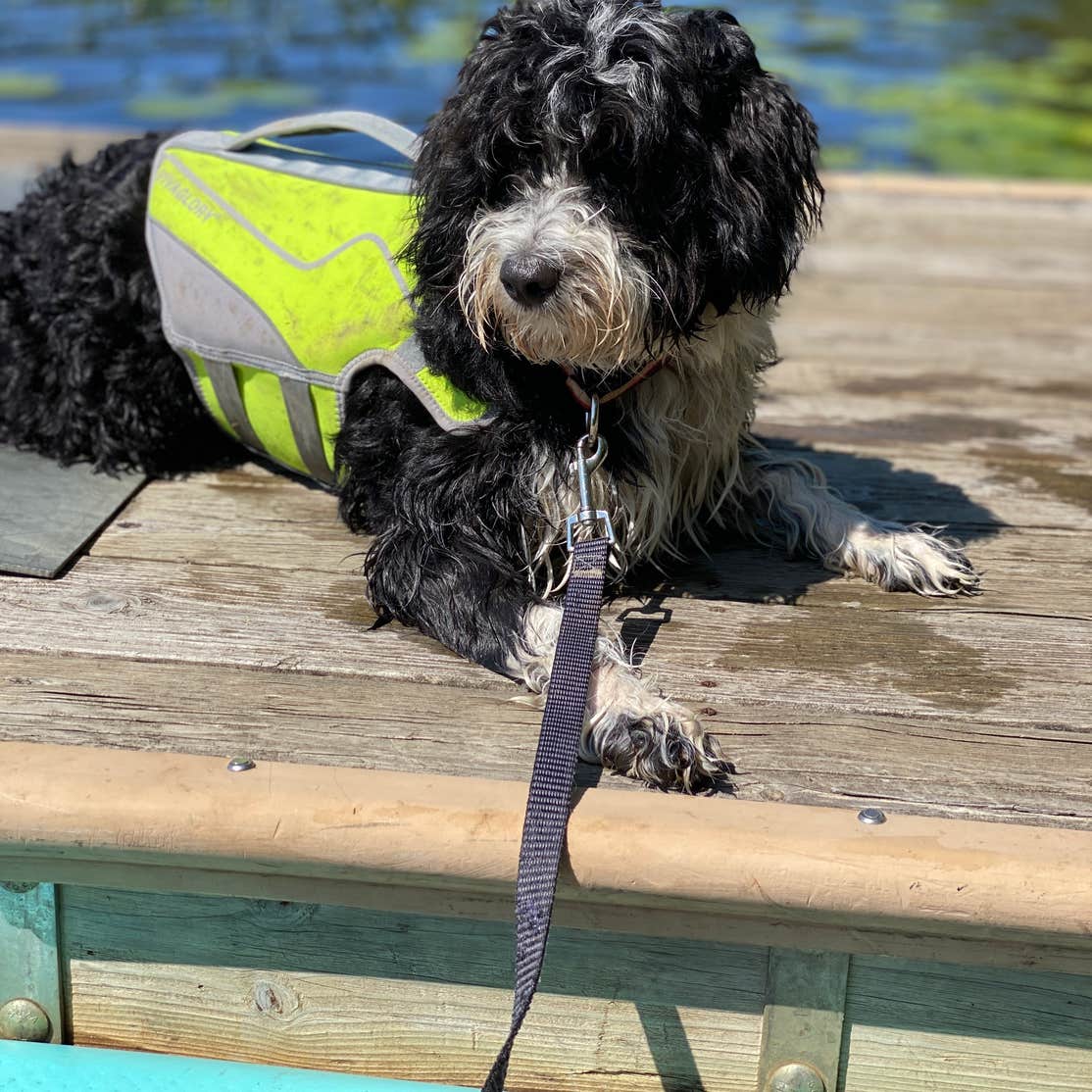 Cunnard Lake — Northern Highland State Forest Camping | Woodruff, WI