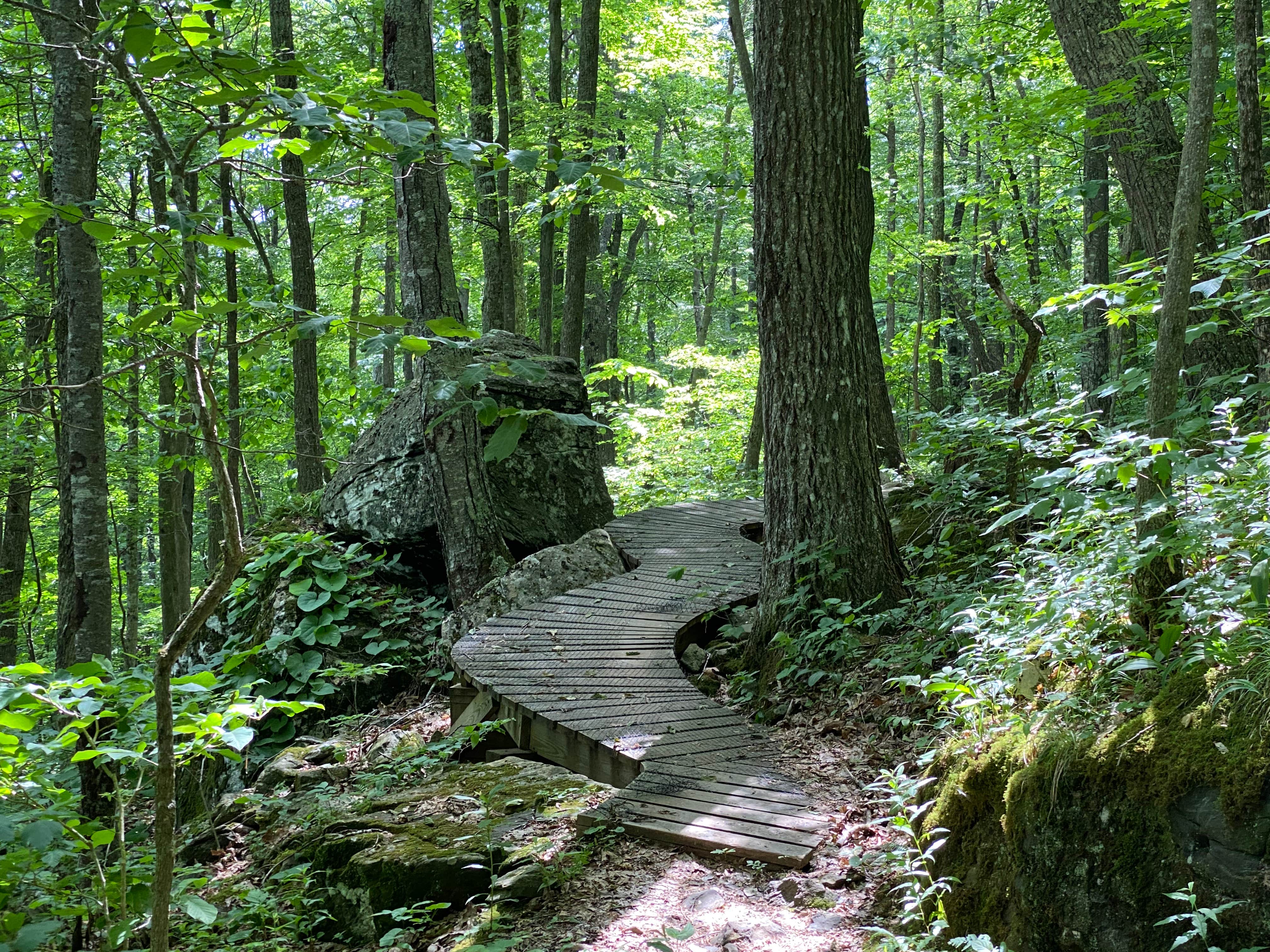 Boone KOA Camping | Boone, North Carolina