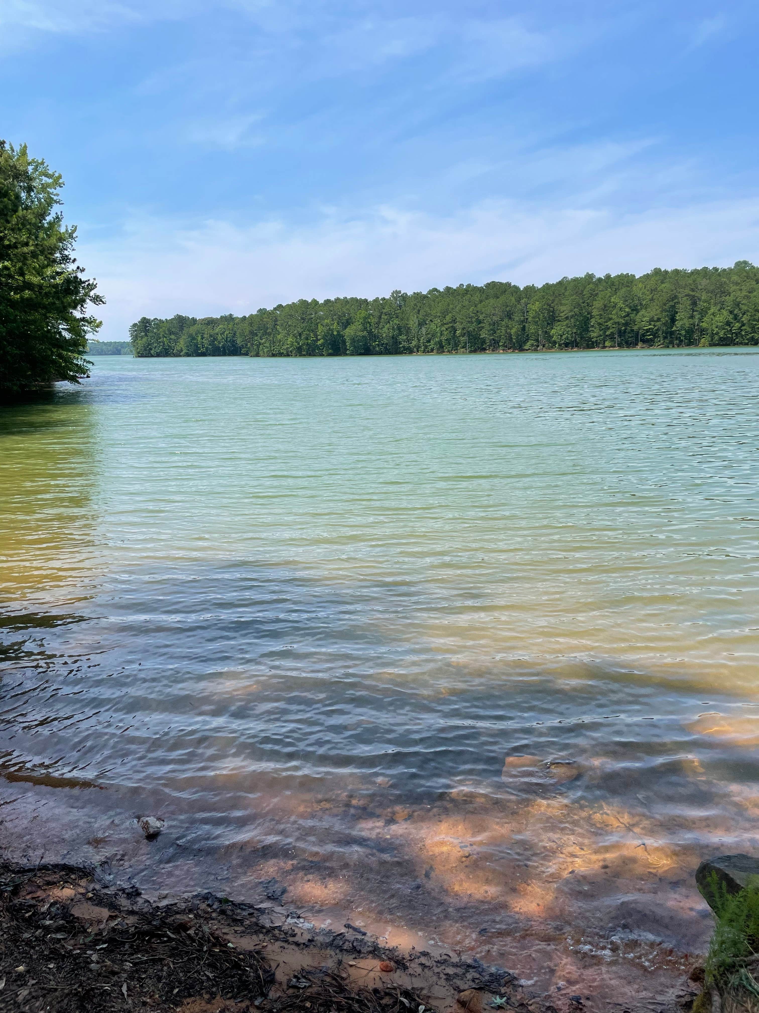 COE West Point Lake R Shaefer Heard Campground | West Point, GA
