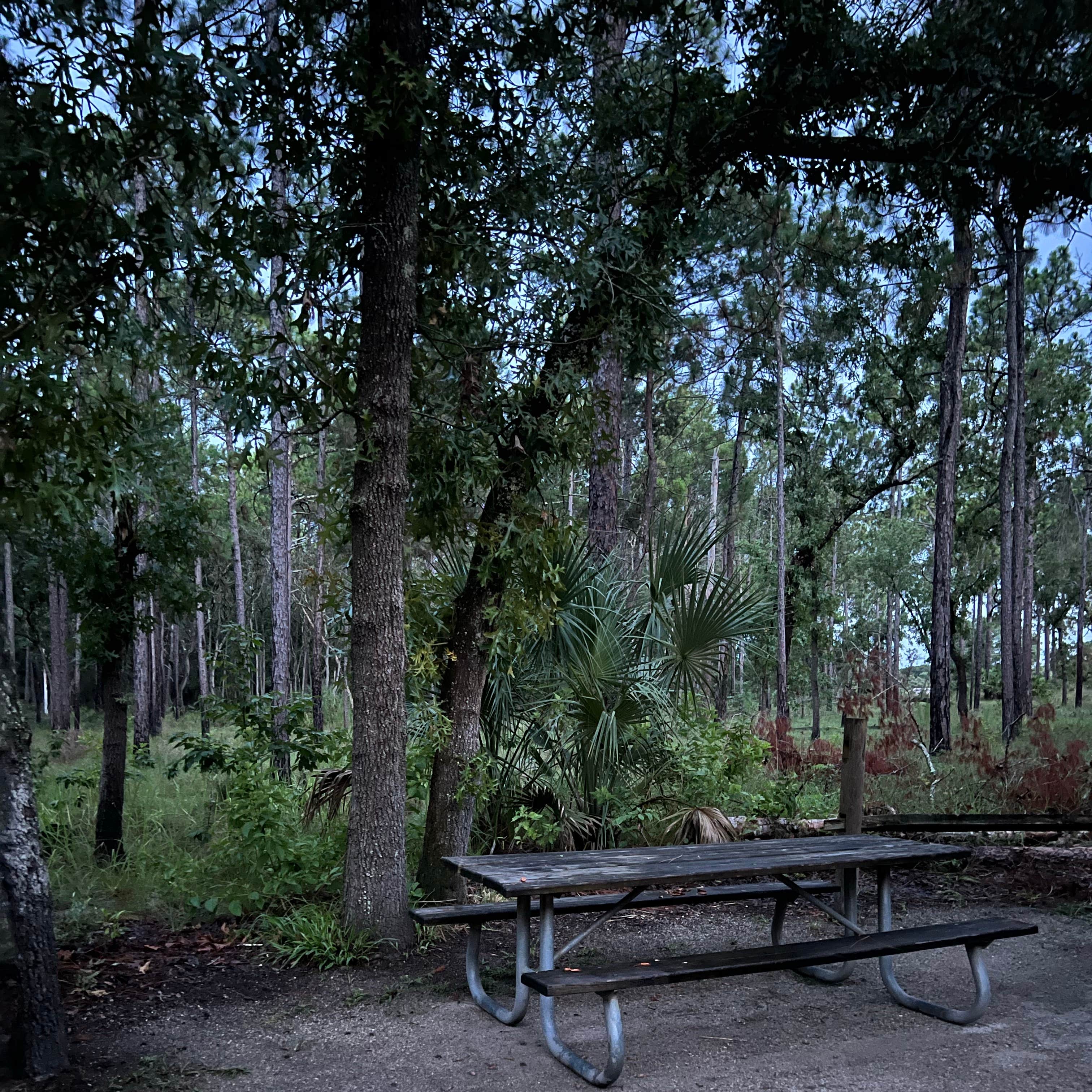 Wekiwa Springs State Park Campground | Apopka, Florida