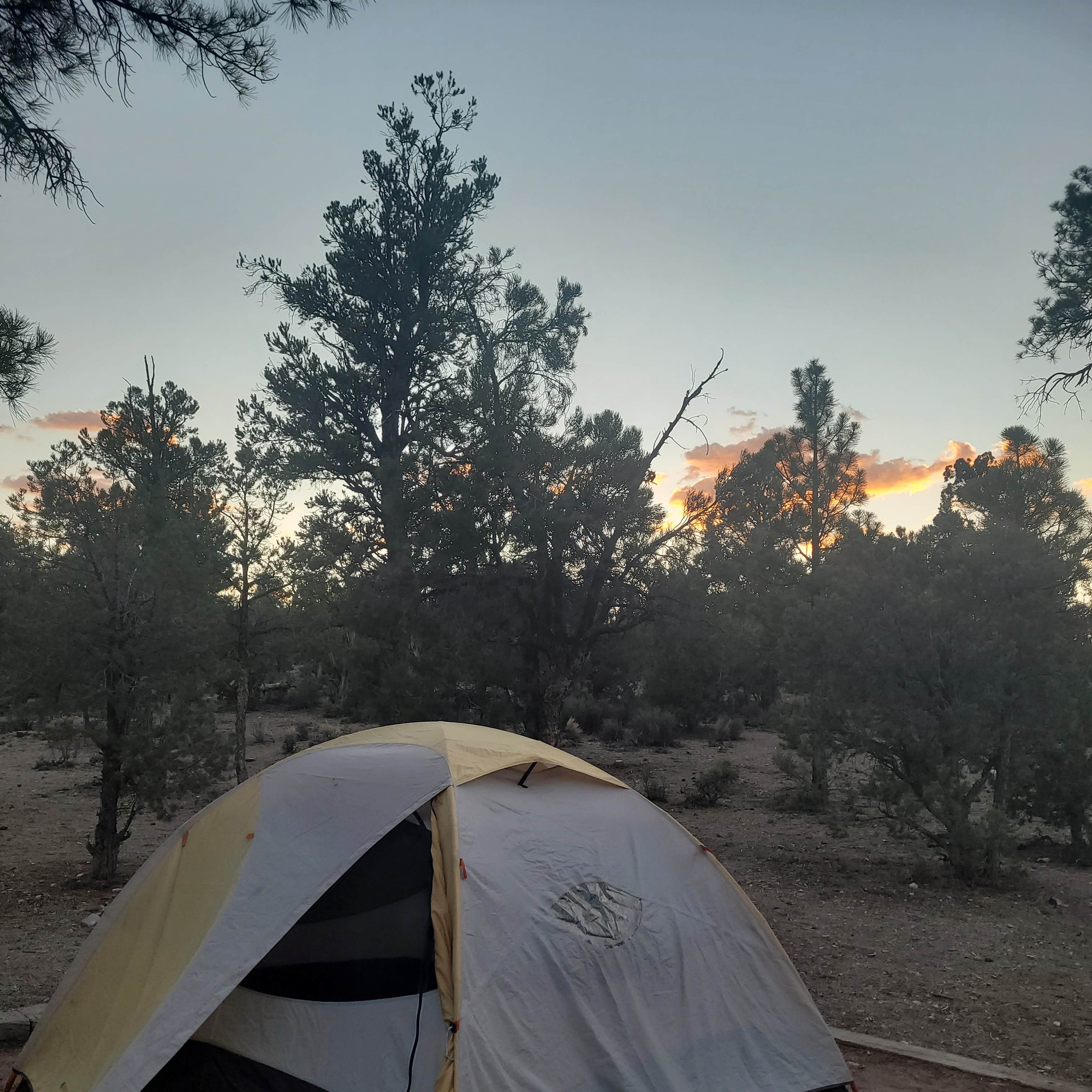 Desert Pass Campground | Moapa, NV