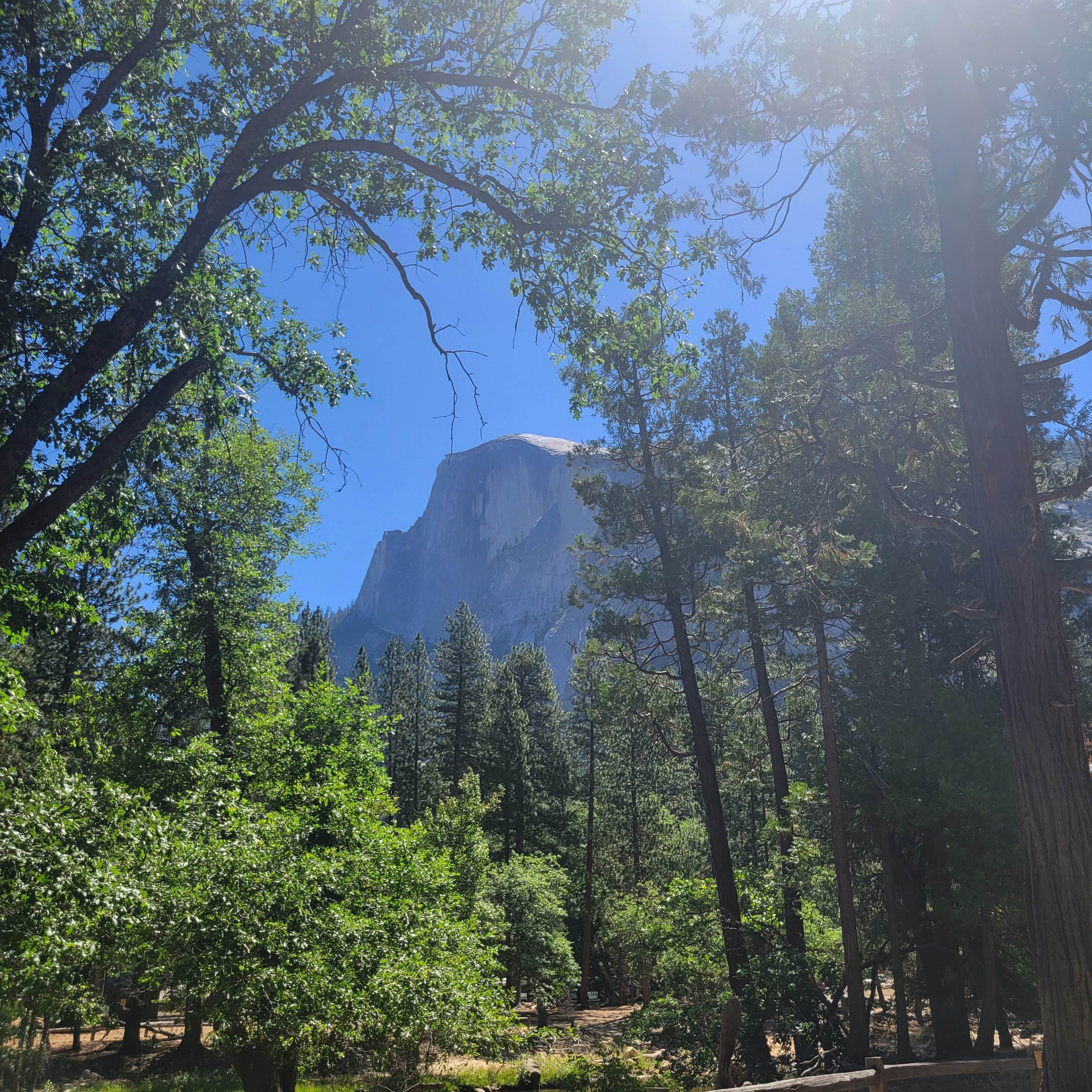 Lower Pines Campground — Yosemite National Park | Yosemite Valley ...