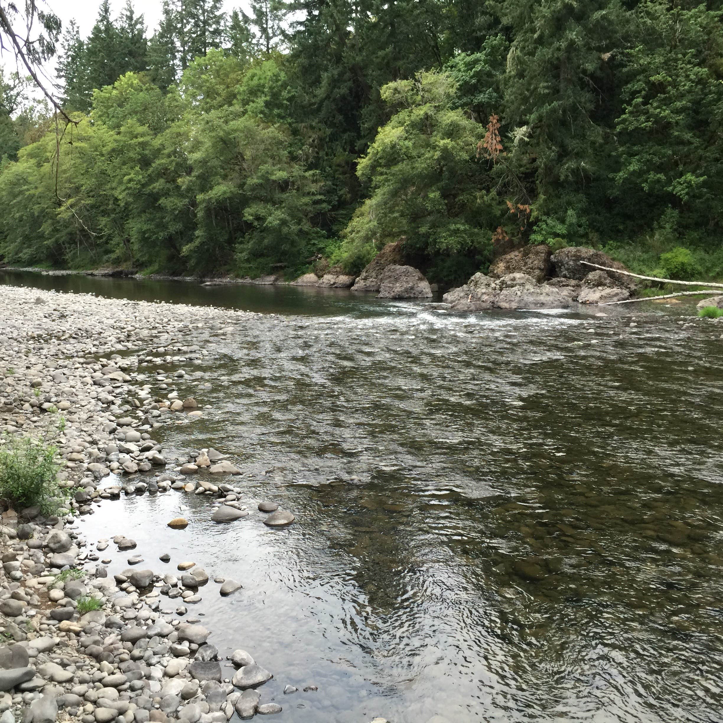 Feyrer Park Camping | The Dyrt