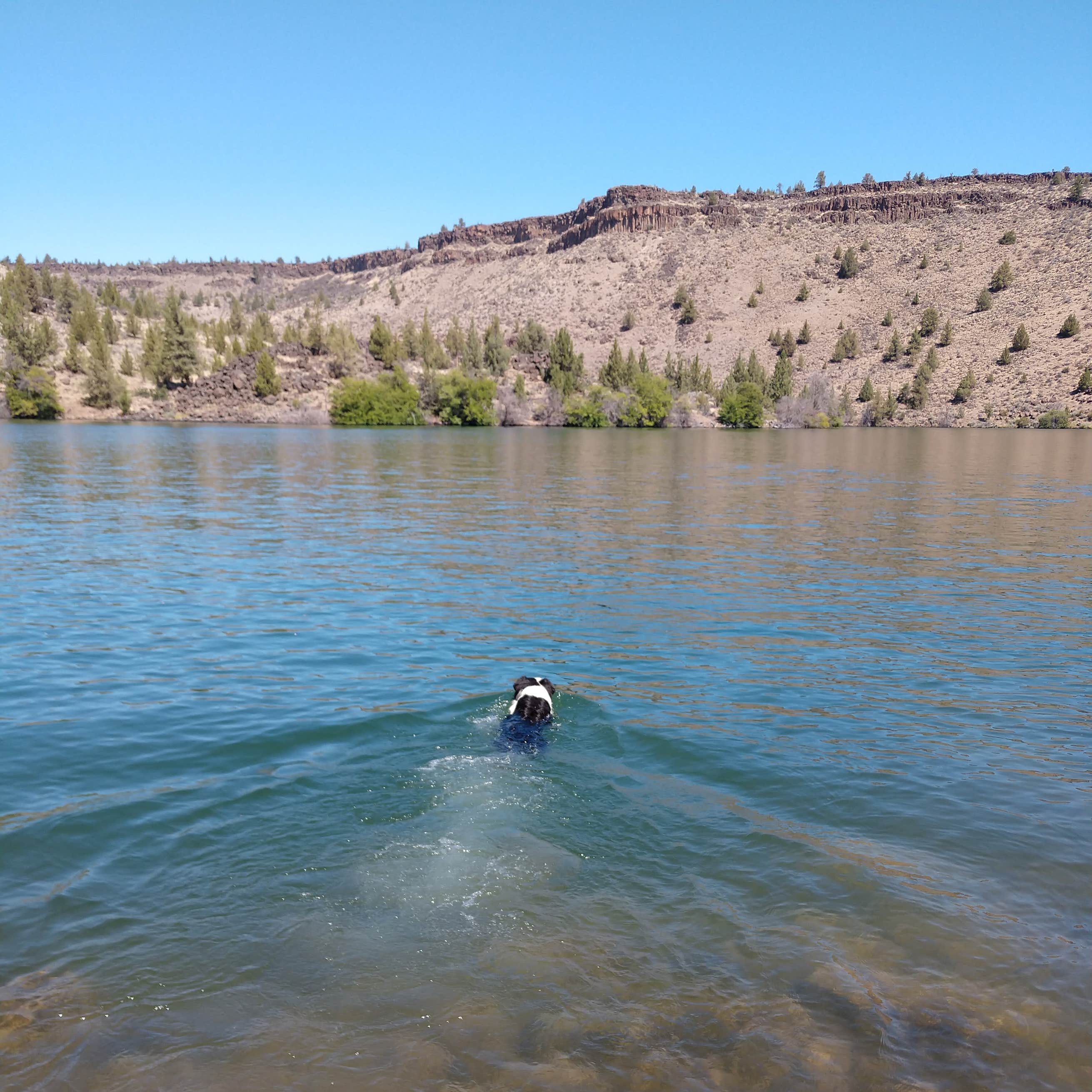 Pelton Park Campground | Alder Springs, Oregon