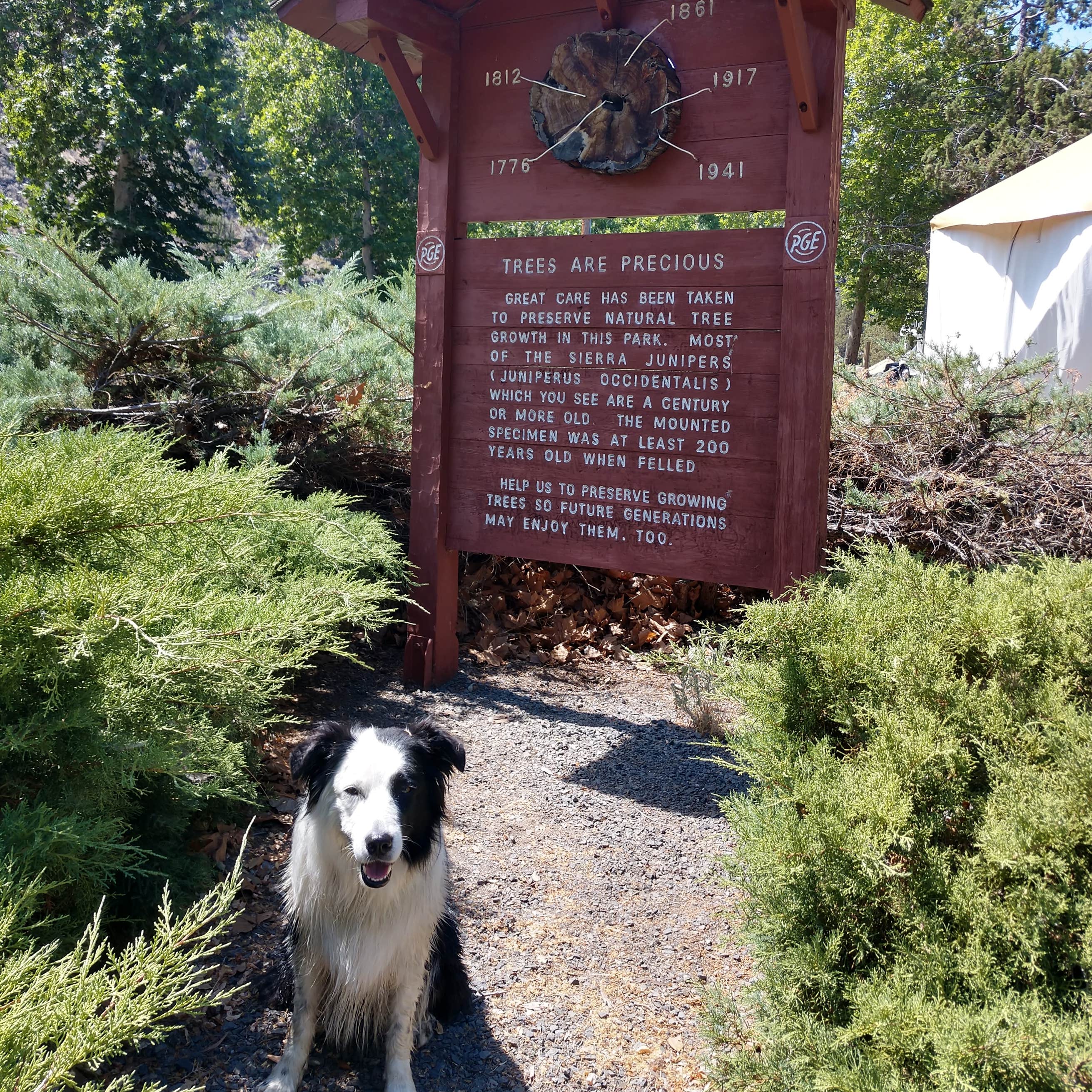 Pelton Park Campground | Alder Springs, Oregon