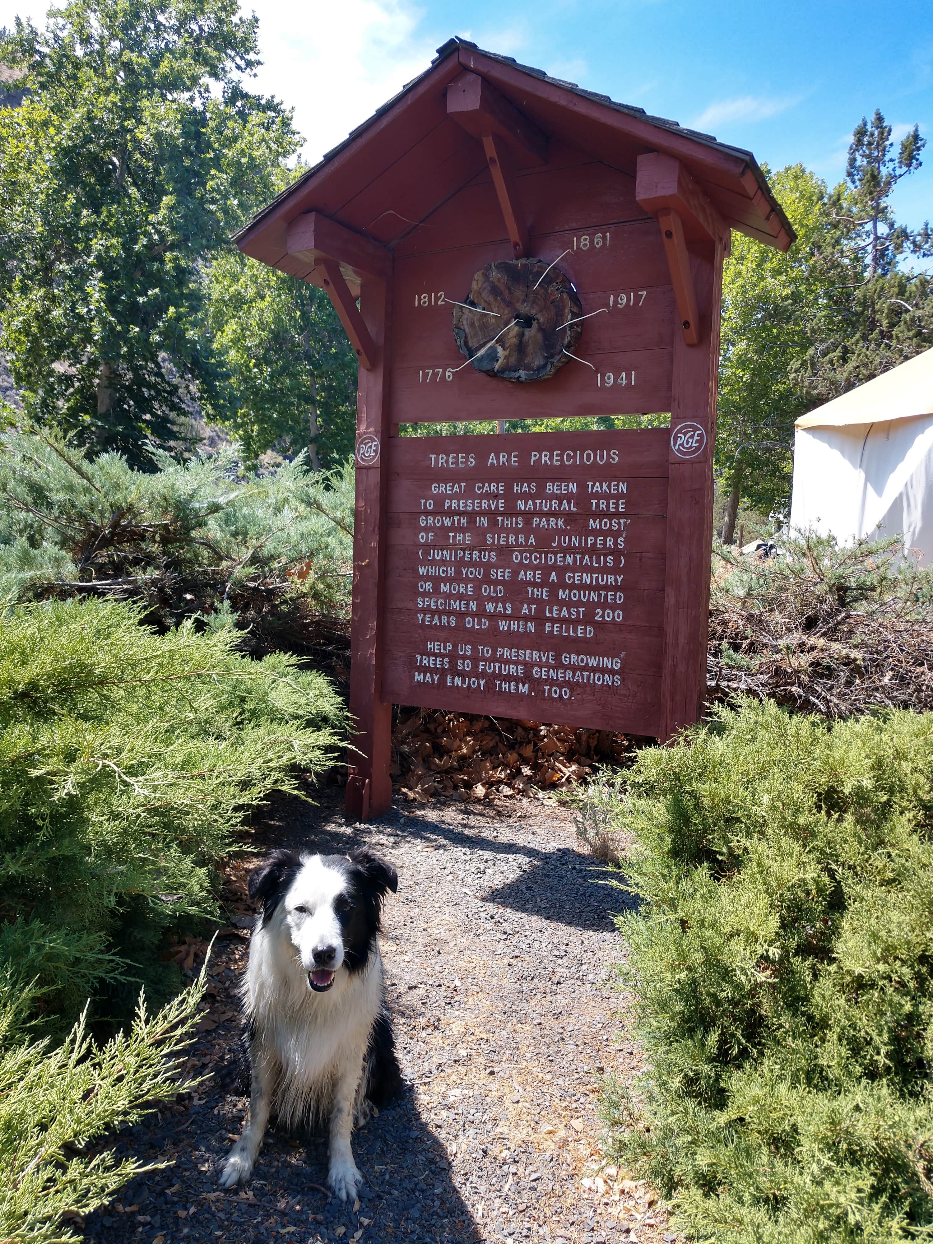Pelton Park Campground | Alder Springs, Oregon
