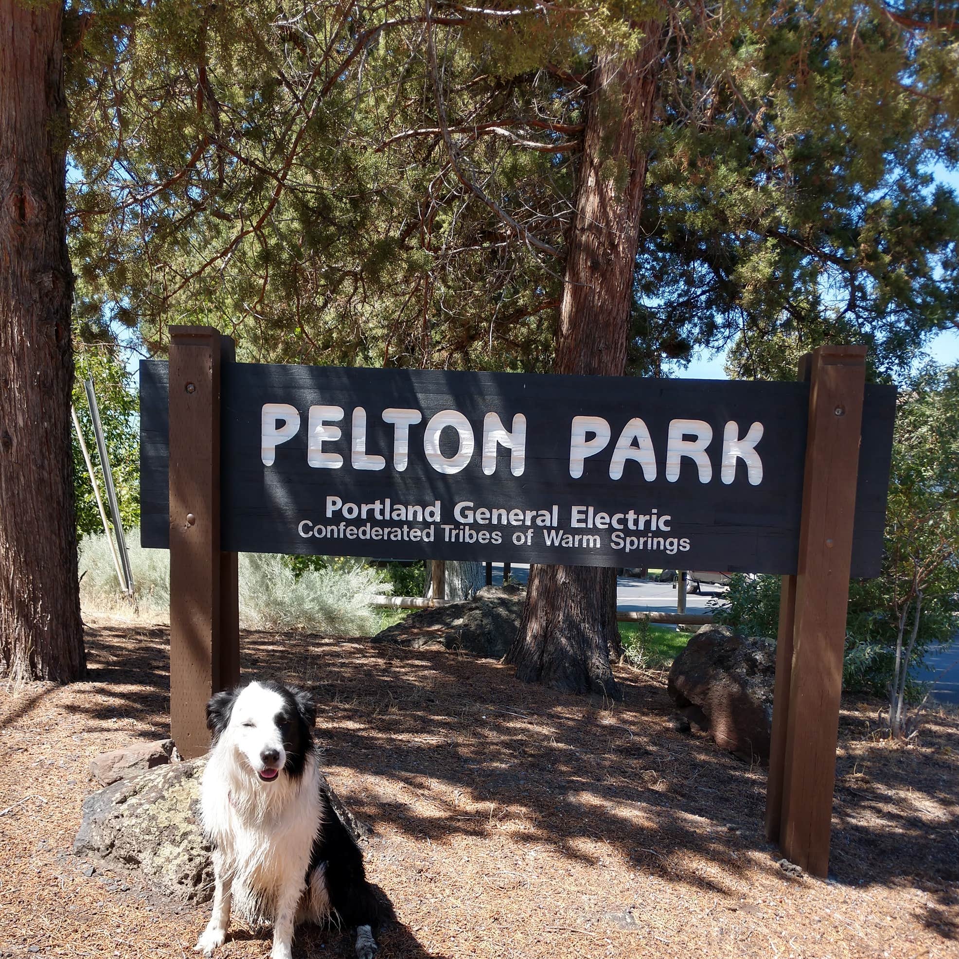 Pelton Park Campground Camping | The Dyrt