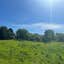 Pinicon Ridge Park Camping | Central City, Iowa
