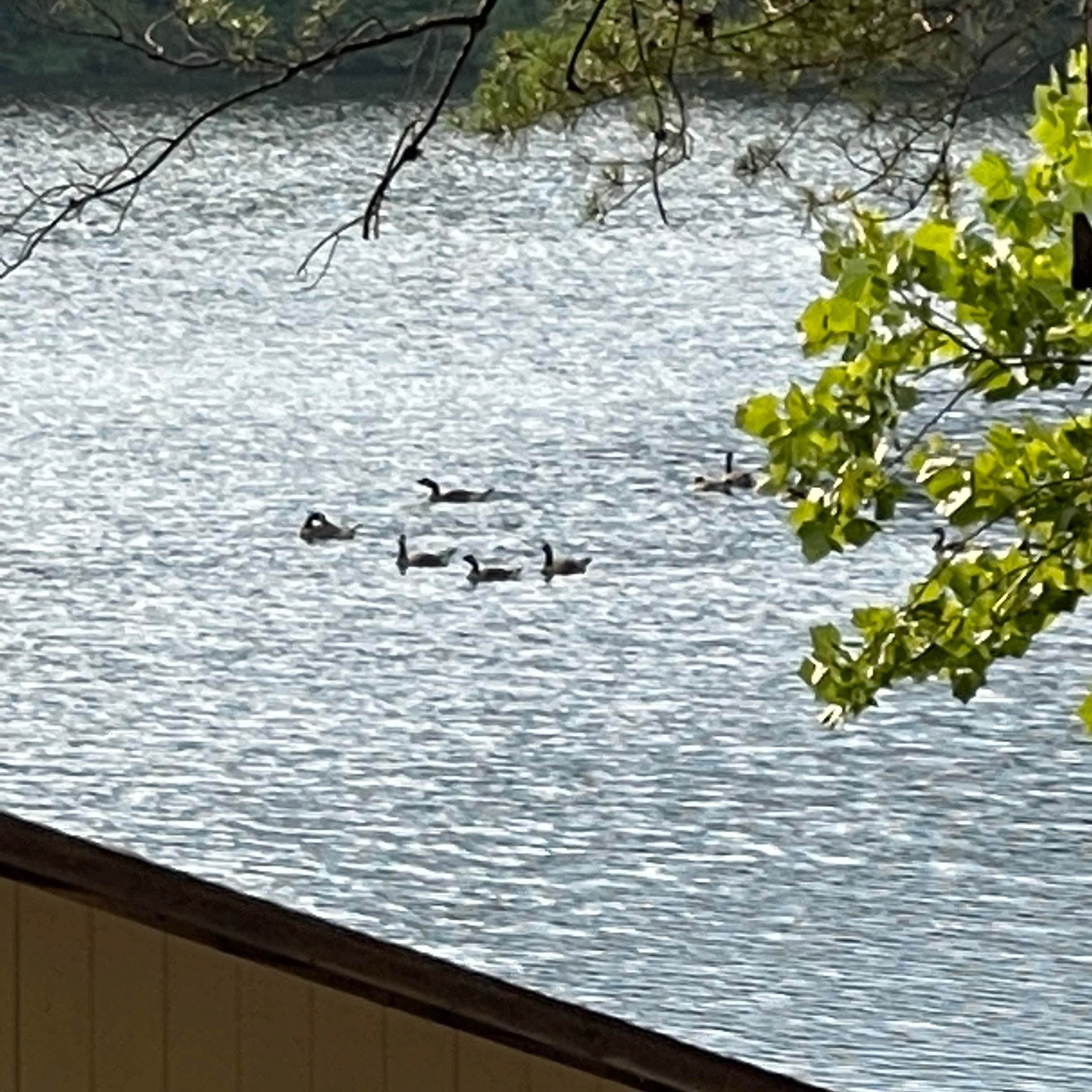 Paradise Lake & Campground | Danville, Virginia