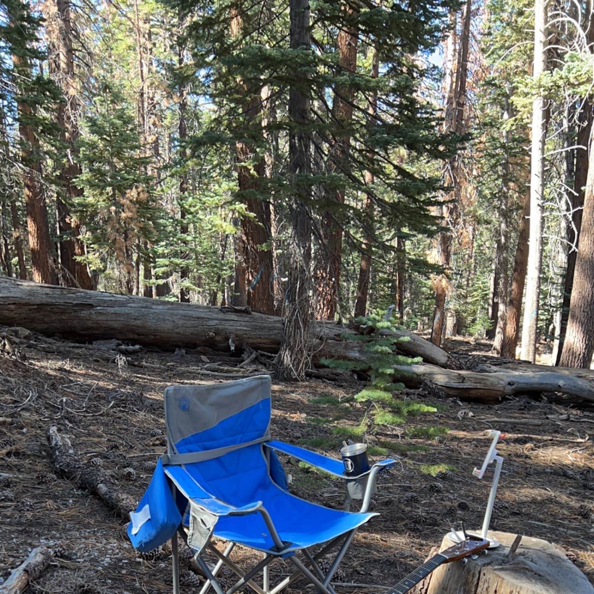 Scenic Loop - Dispersed Camping | Mammoth Lakes, CA