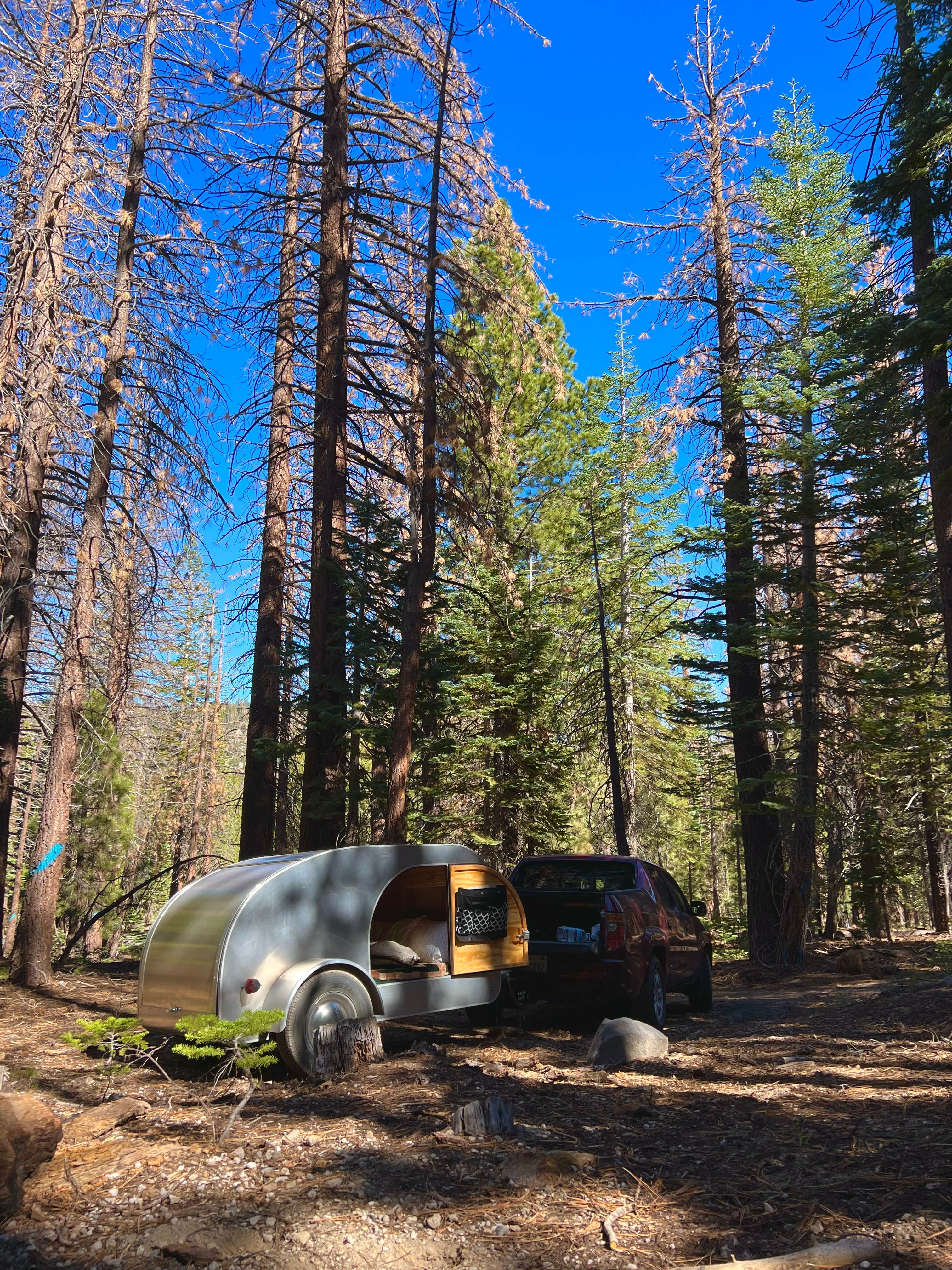 THE 10+ BEST Free Campsites near Yosemite National Park