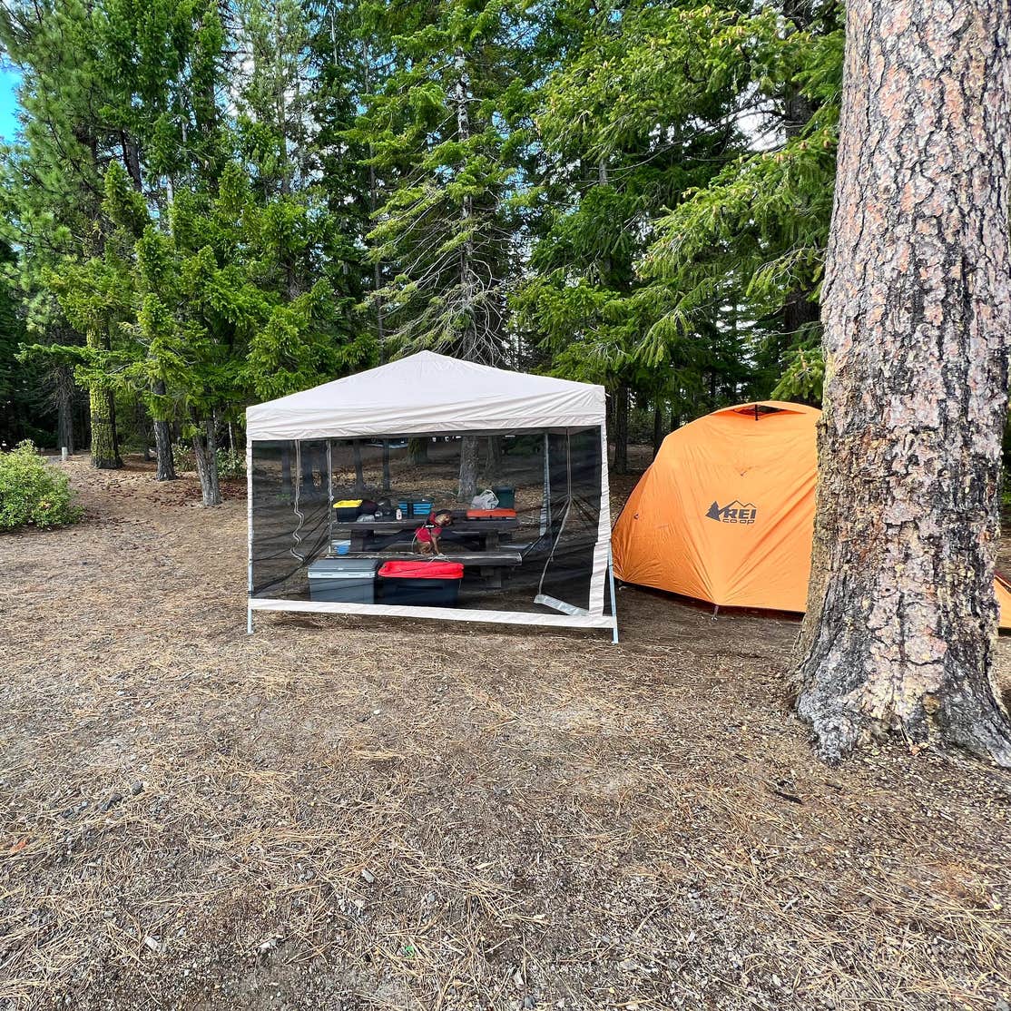 Crescent Lake Campground | Crescent, OR