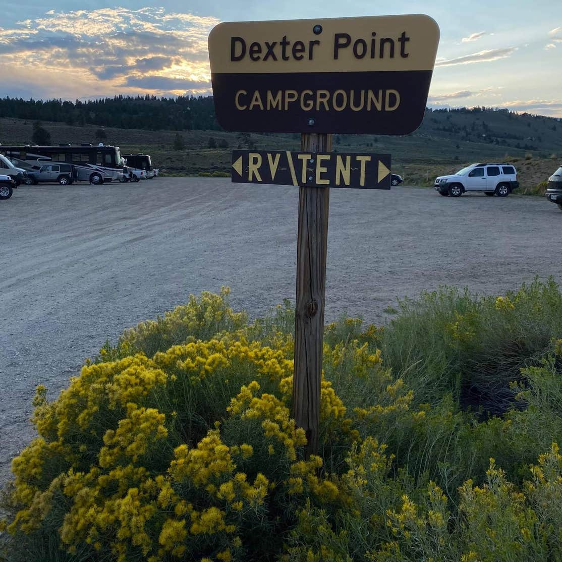 Dexter Point Campground | Twin Lakes, CO