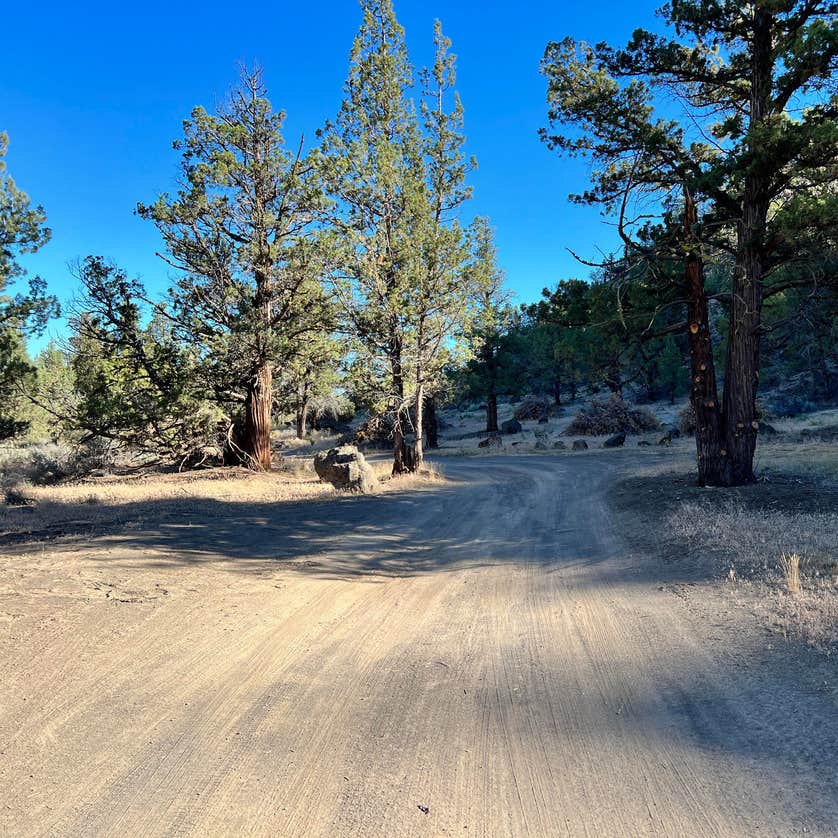 Steelhead Falls Trailhead & Campground Camping | The Dyrt