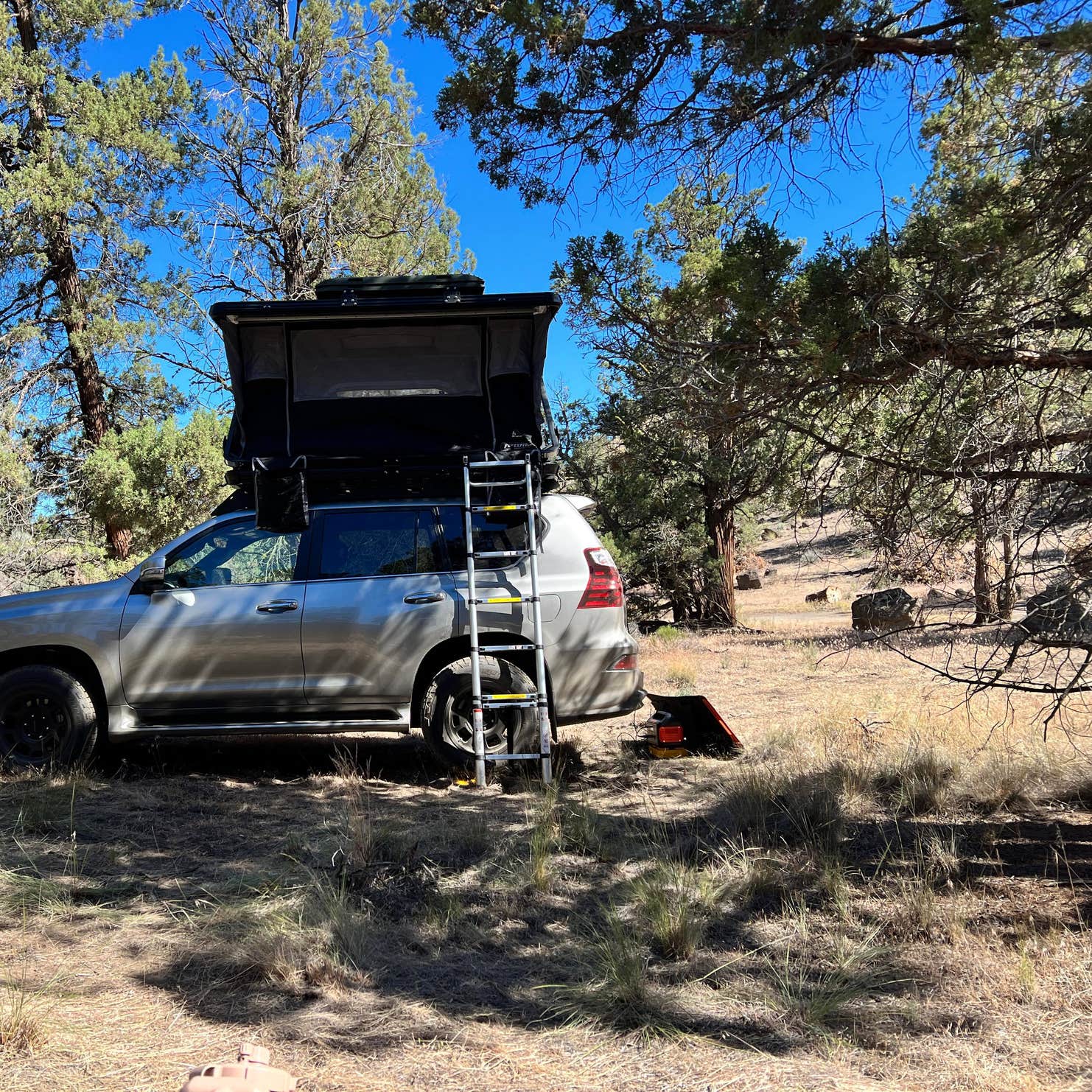 Steelhead Falls Trailhead & Campground Camping | The Dyrt