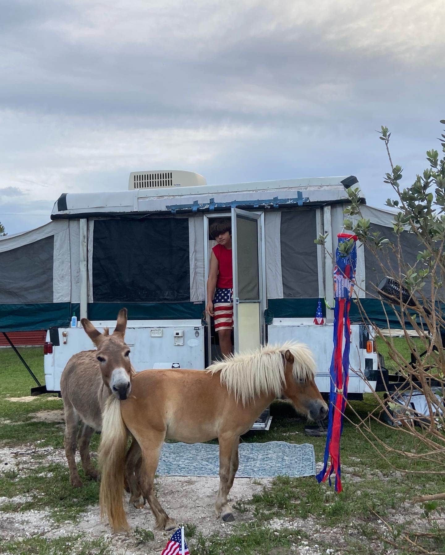 Bohemian Freedom Ranch Camping | Okeechobee, FL