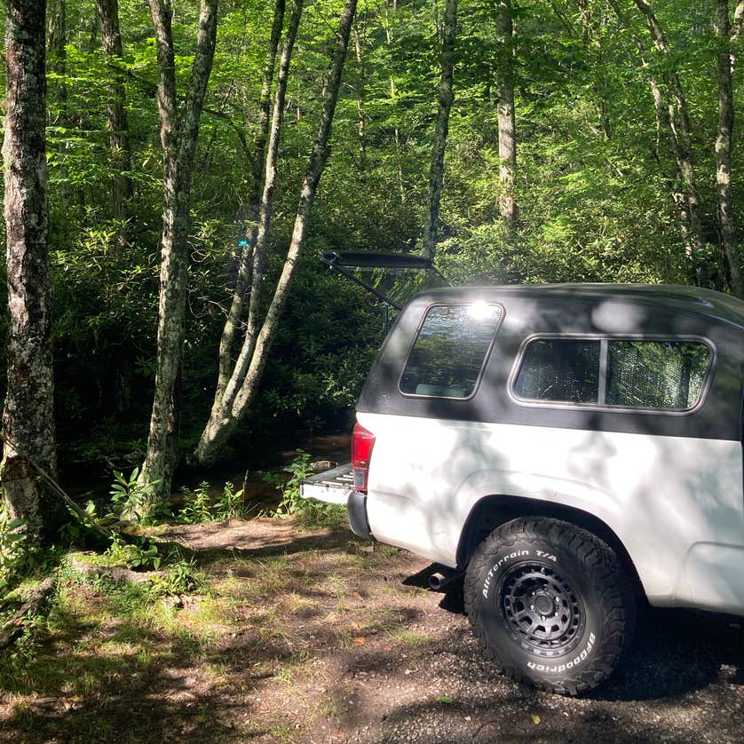 Mount Rogers National Recreation Area Camping | The Dyrt