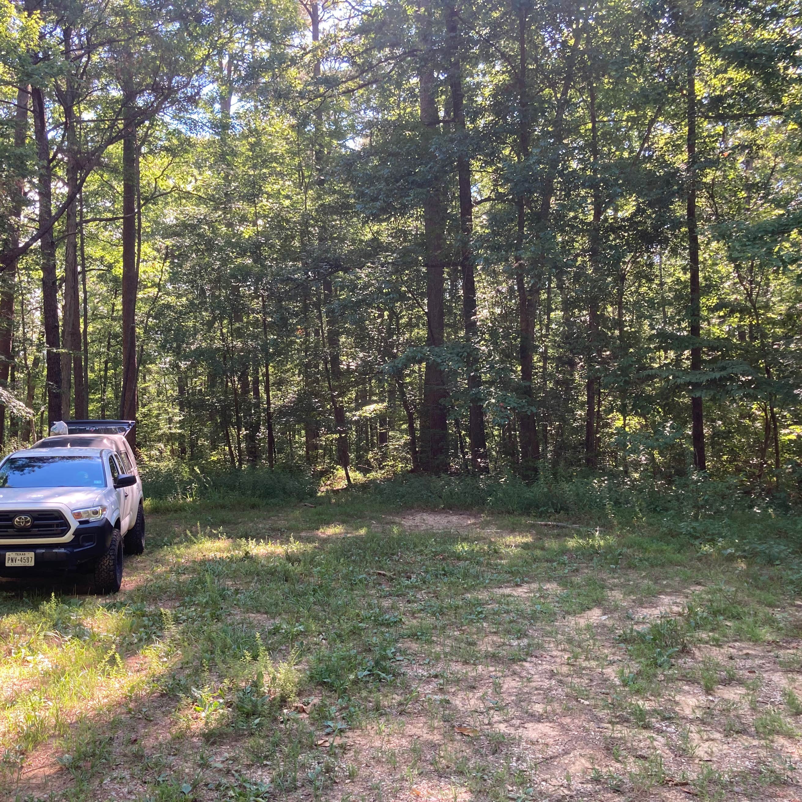 Boondock Dispersed Camping Alabama Camping | The Dyrt