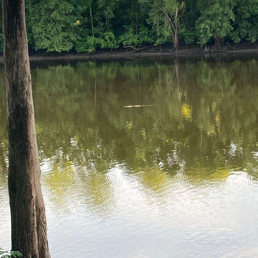 Sherburne WMA Camping | Breaux Bridge, Louisiana