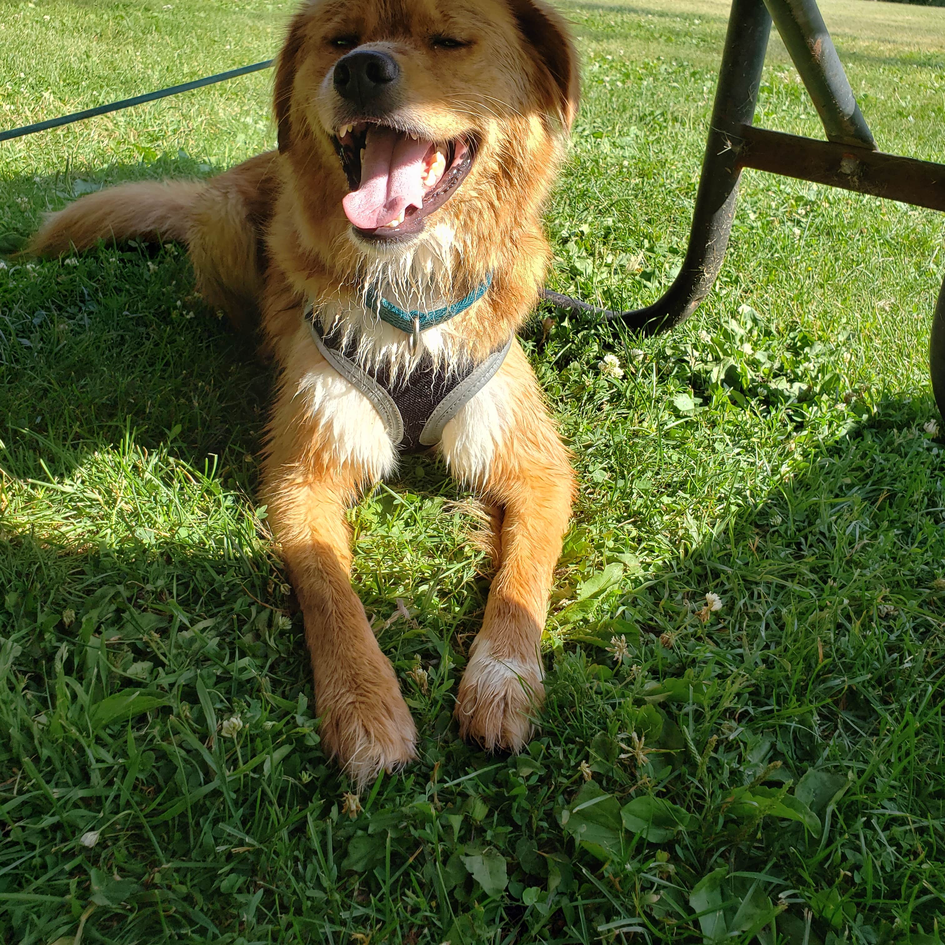 Menomonee Park by Waukesha County Parks Camping | Menomonee Falls, Wisconsin